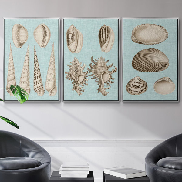 WexfordHome " Sepia And Aqua Shells IV " 3 - Pieces | Wayfair