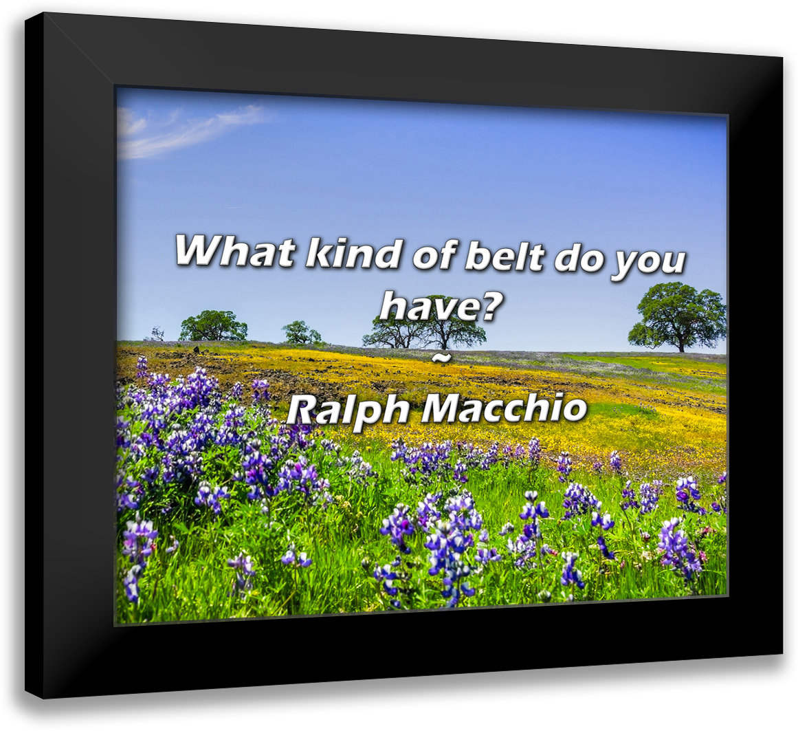 Latitude Run® Ralph Macchio Quote: What kind of belt do you have ...
