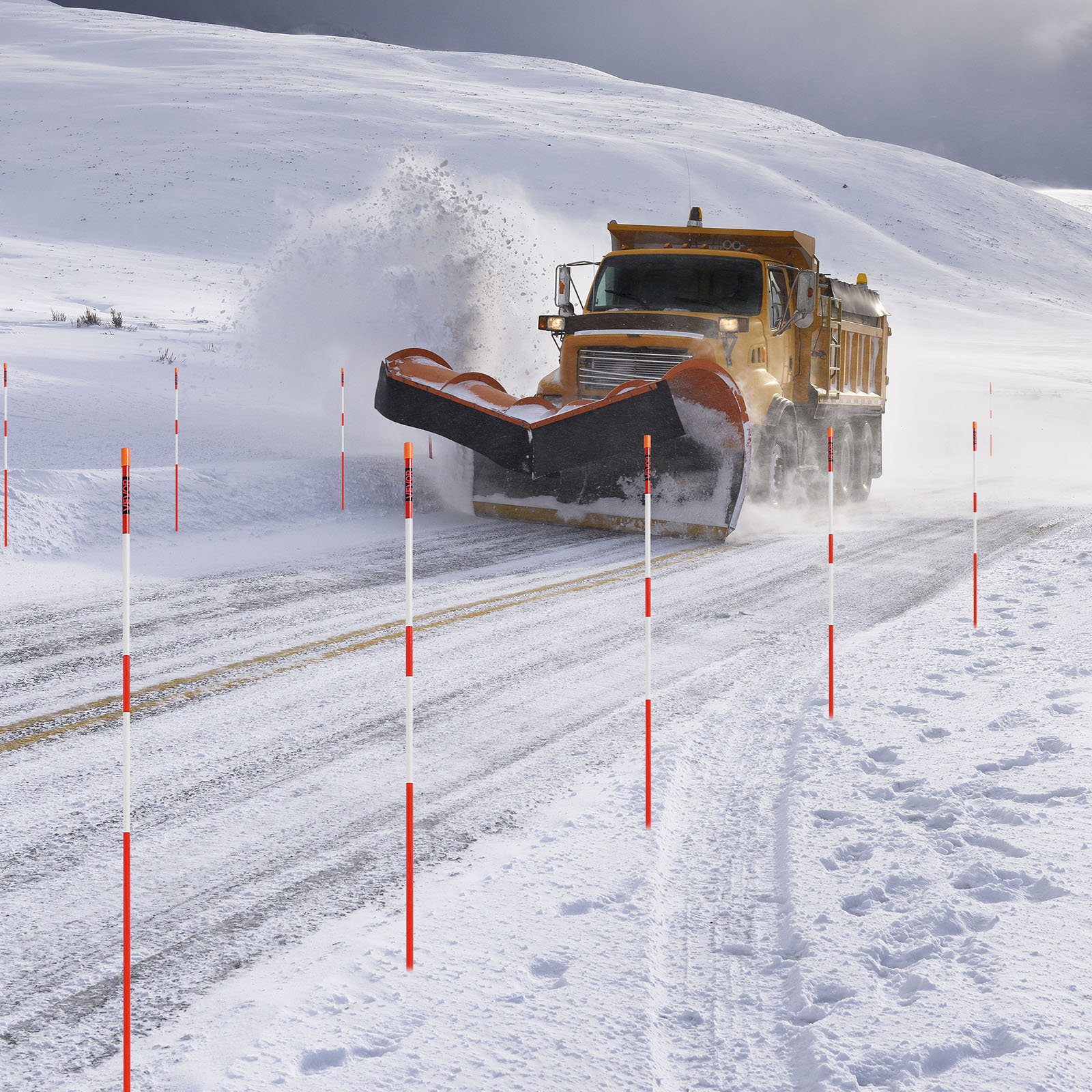 Stellweilan Tessberg Reflective Driveway Markers Snow Stakes Reflectors ...