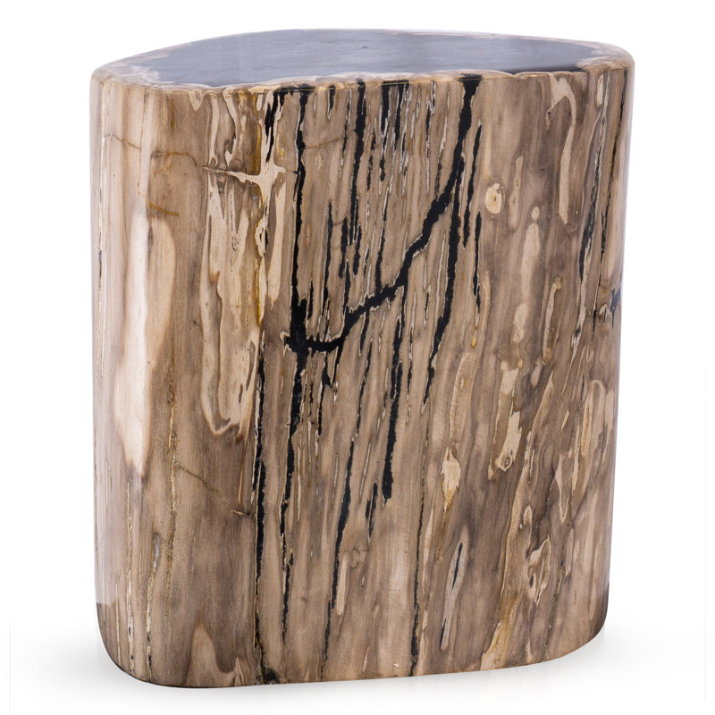 Daribali Design Fossil Relics End Table | Wayfair