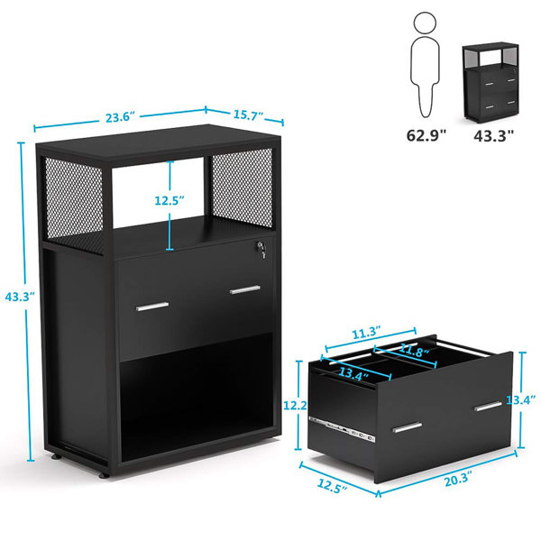 Inbox Zero 2-Drawer Lateral Filing Cabinet & Reviews | Wayfair