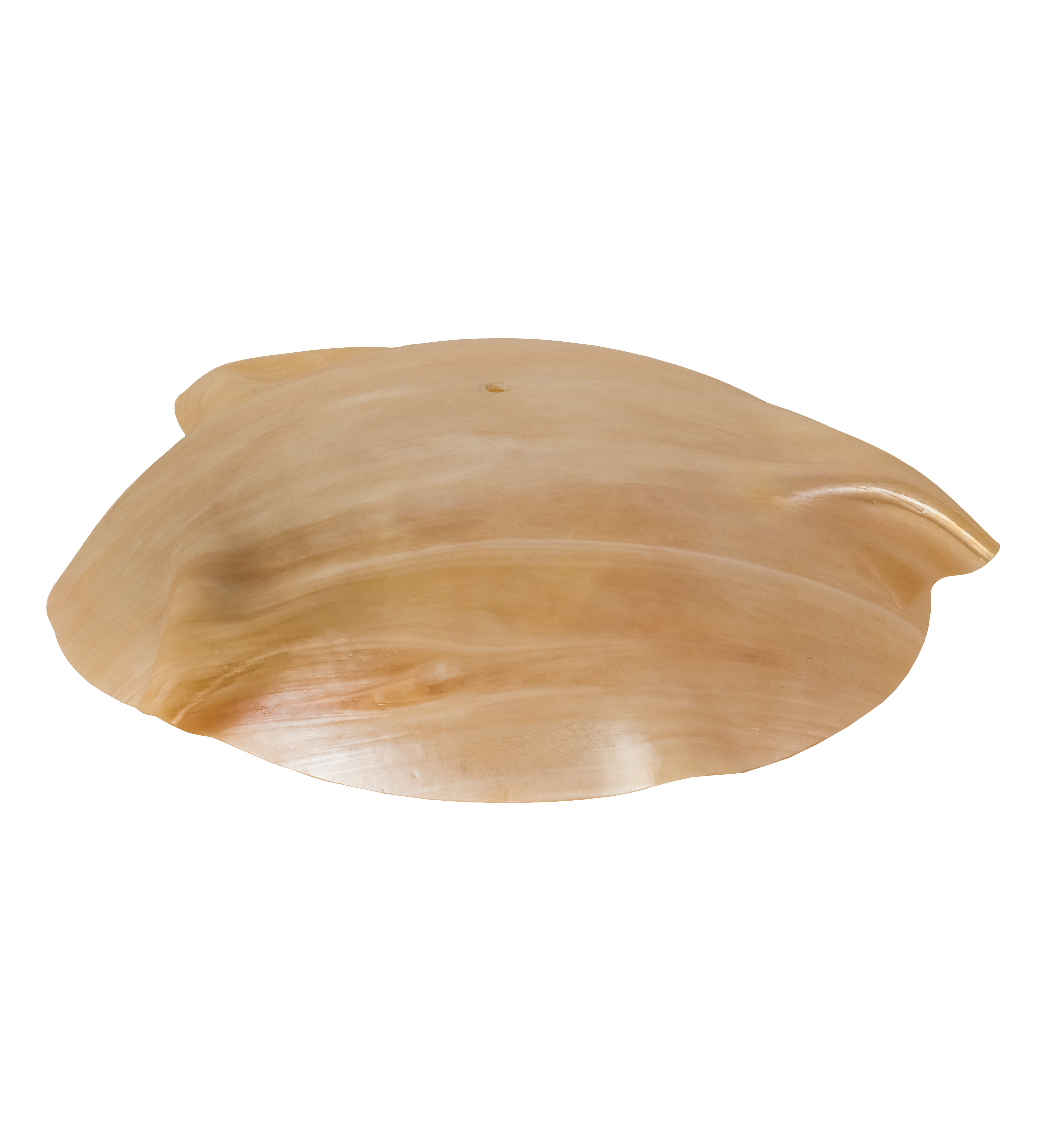 Meyda Lighting 5" H Glass Sphere Lamp Shade in Beige | Perigold