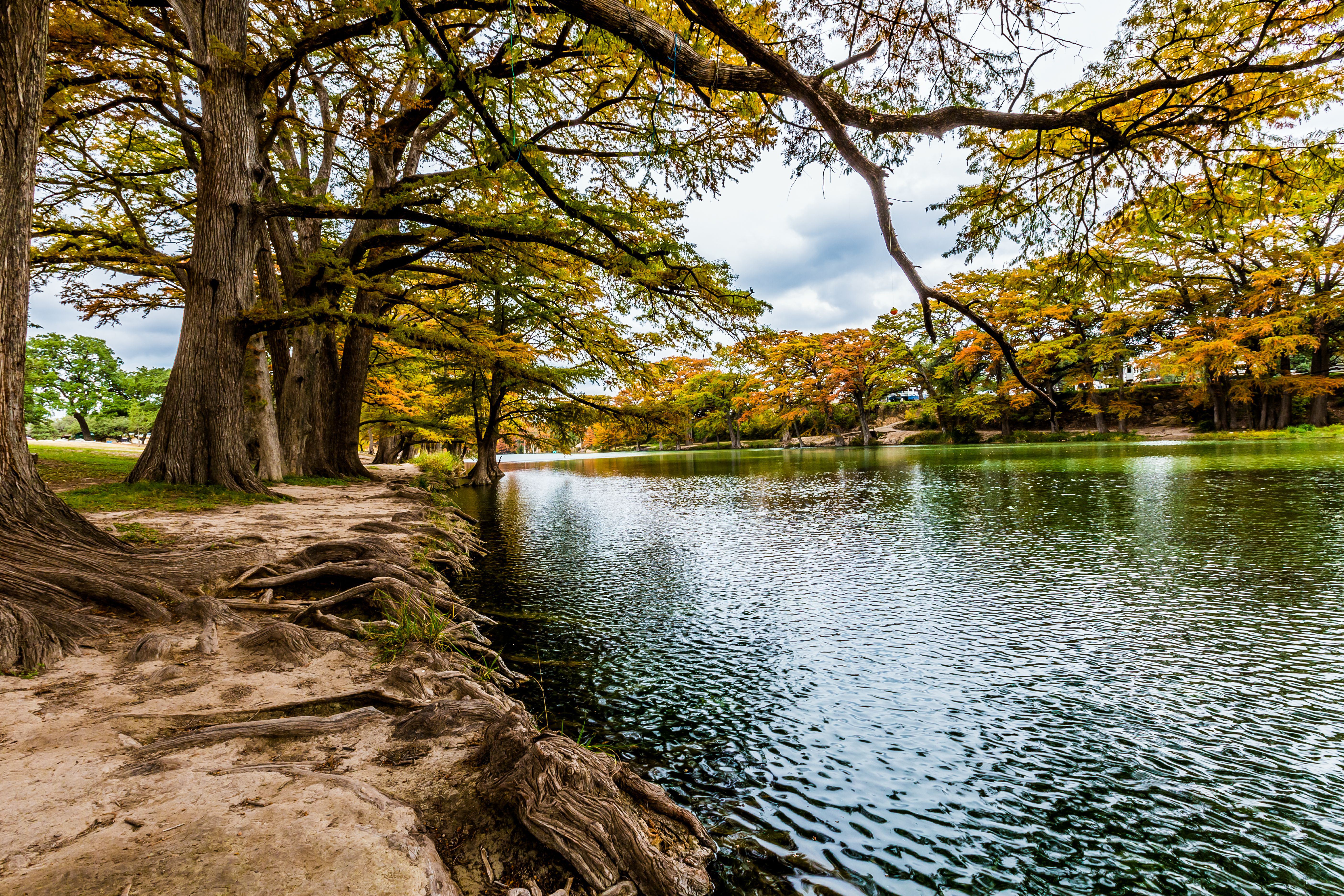 Winston Porter Arielle Riverbank of Frio River by Richard Mcmillin ...