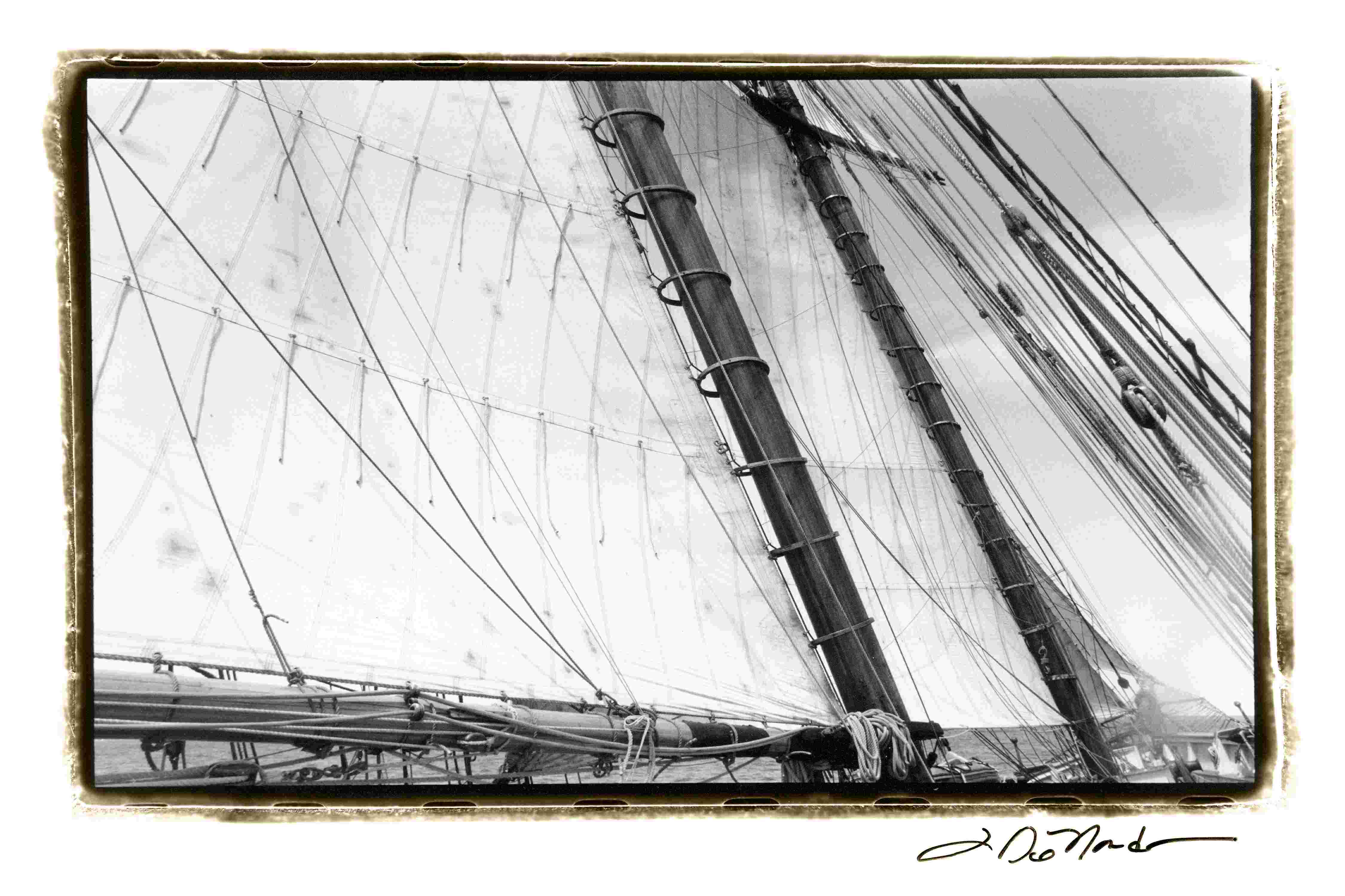 Longshore Tides Under Sail III | Wayfair