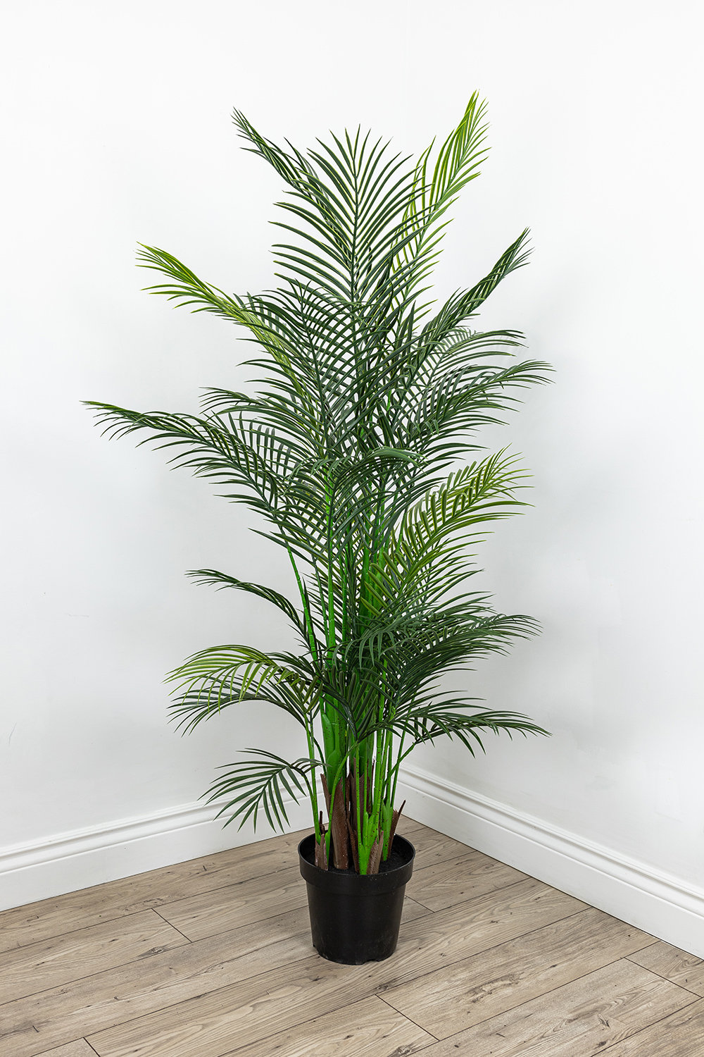 Primrue Faux Palm Tree in Pot | Wayfair