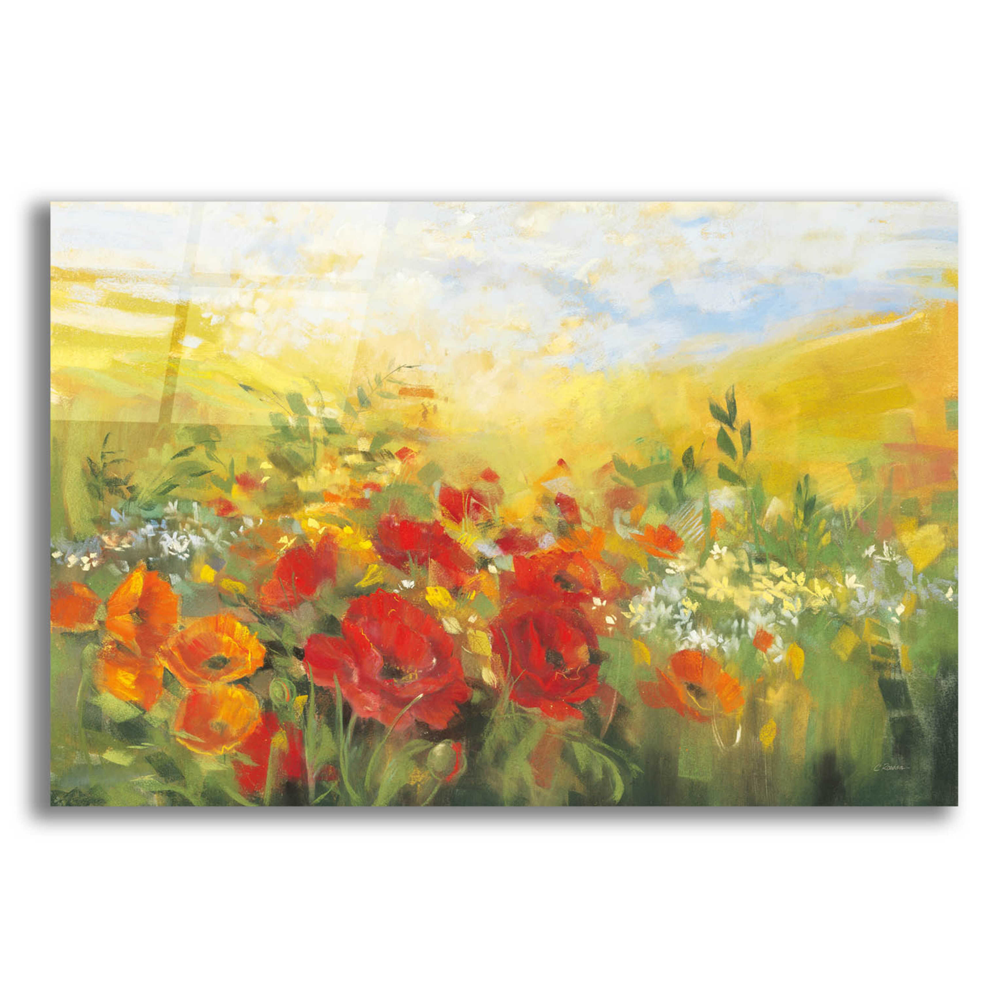 Winston Porter " Oriental Poppy Field Crop " by Carol Rowan | Wayfair