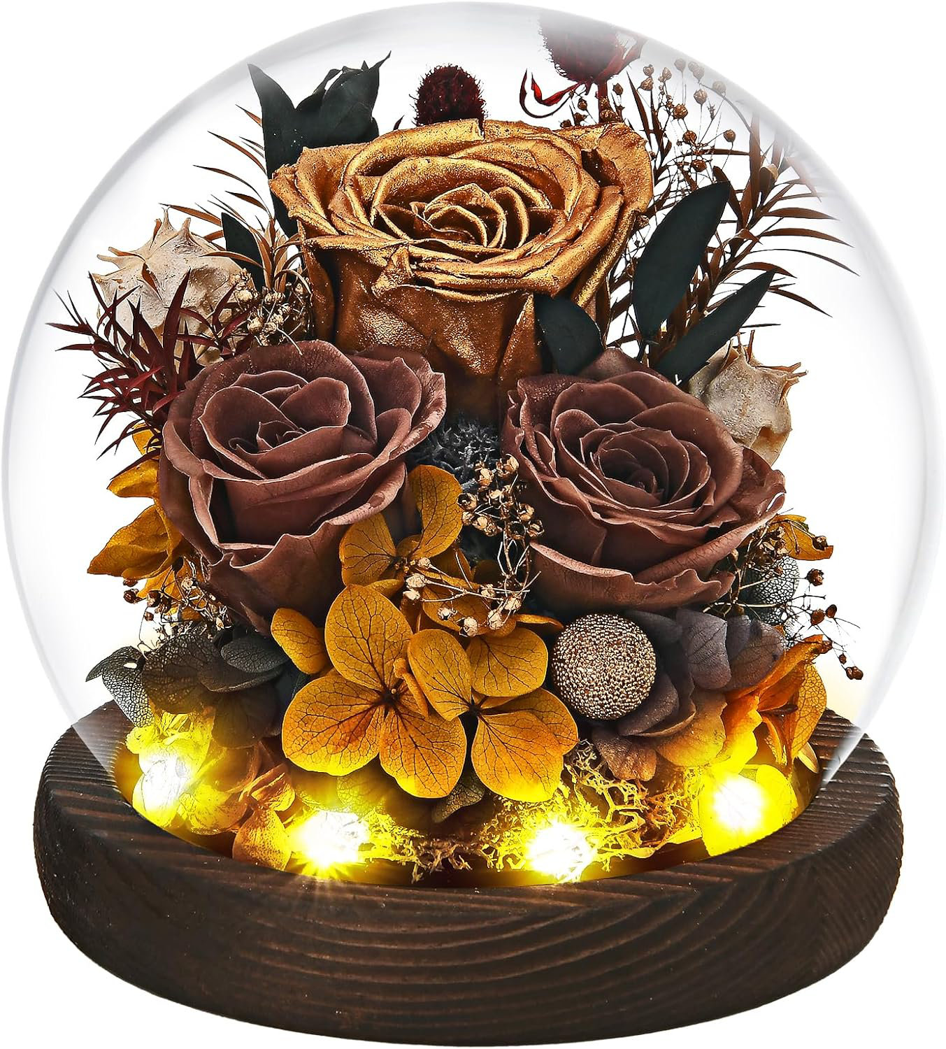 World Menagerie Red Preserved Rose Flowers in Glass Dome for Wome, Mom ...