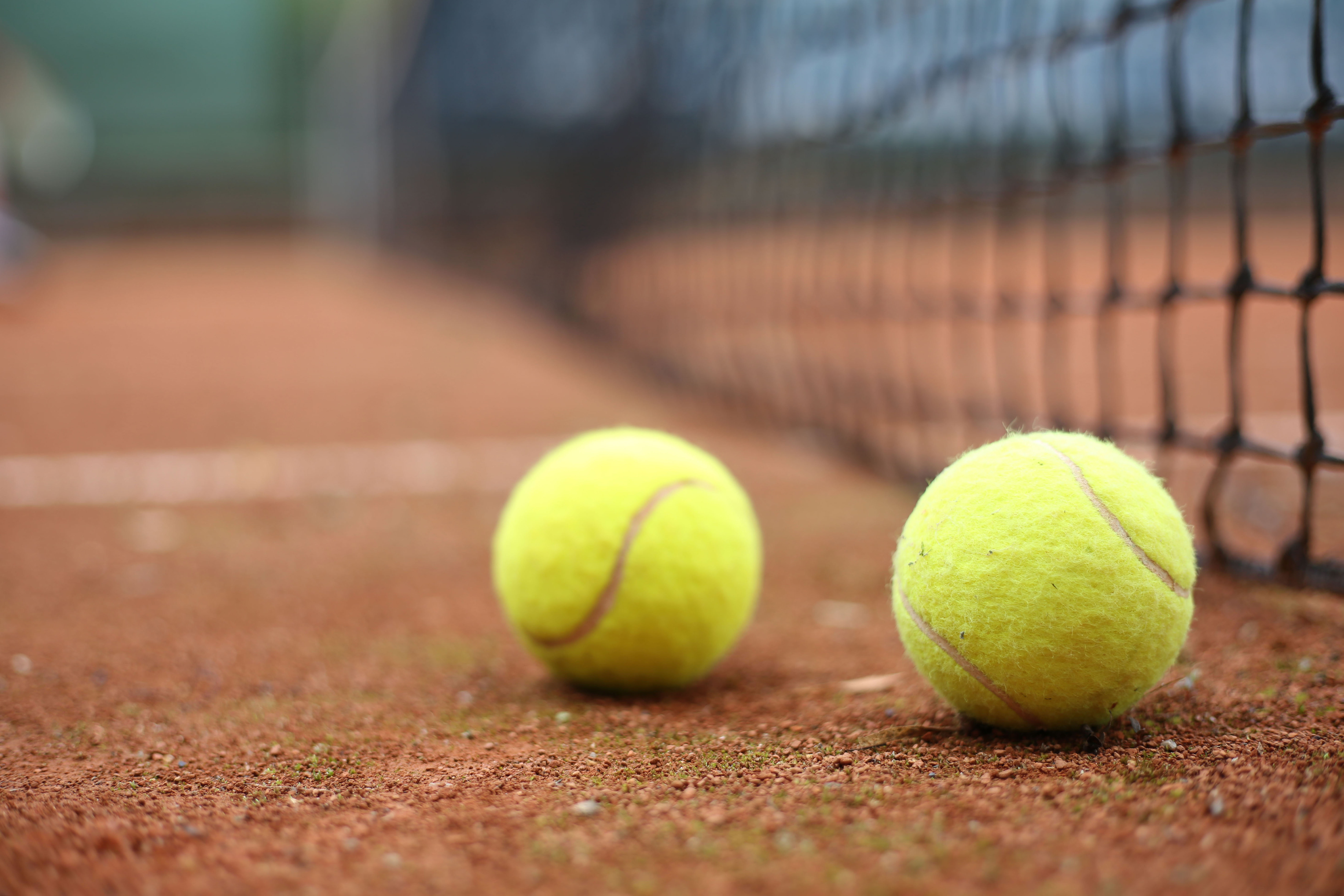 Hokku Designs Tennis | Wayfair
