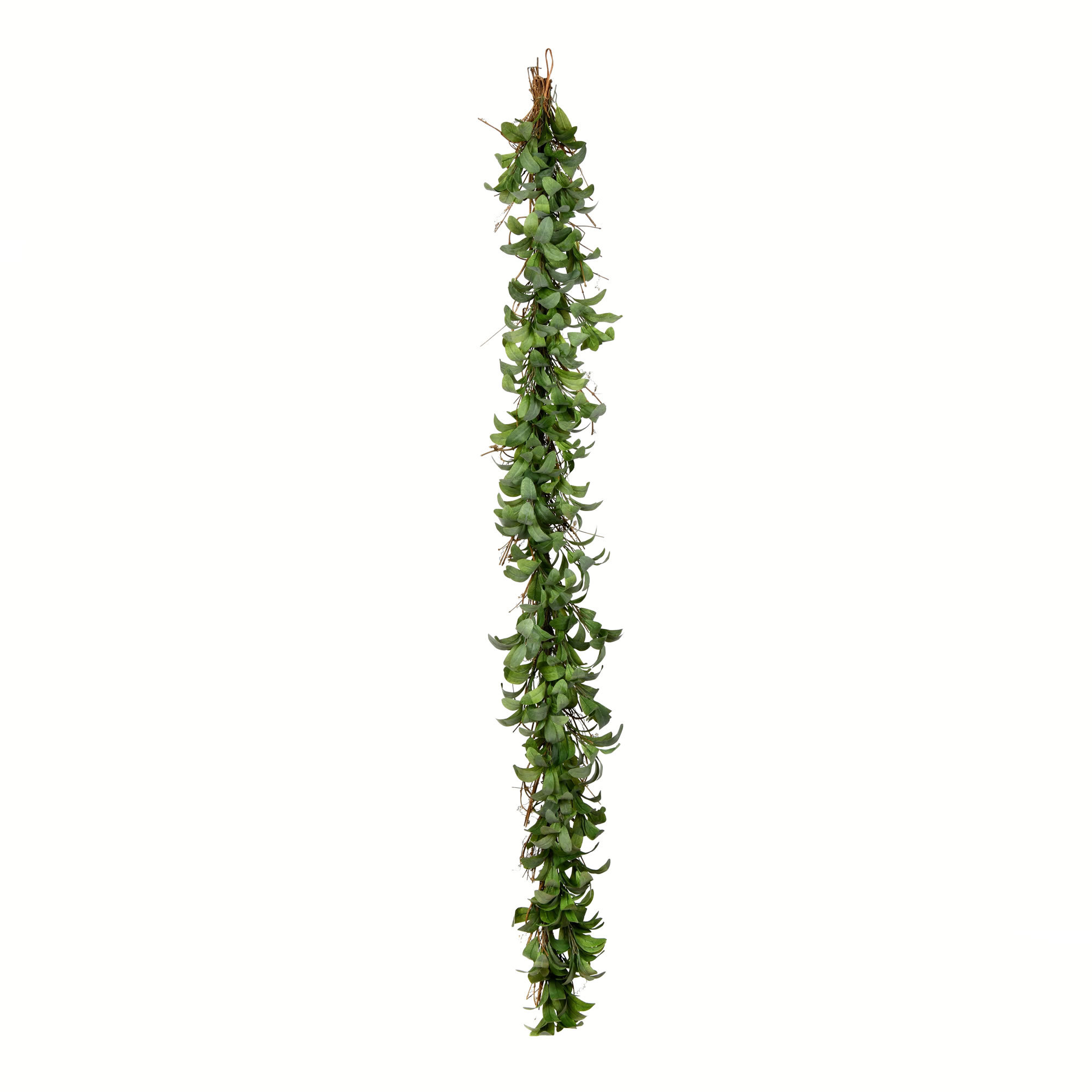 Foundry Select 6' Garland | Wayfair