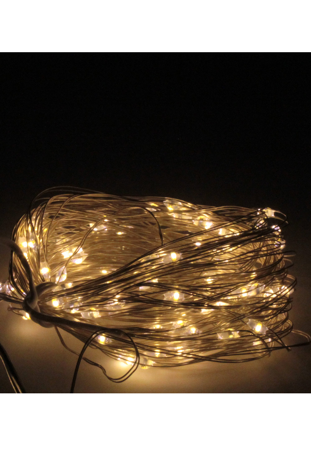 Hashtag Home 100 Light Battery String Lights & Reviews | Wayfair