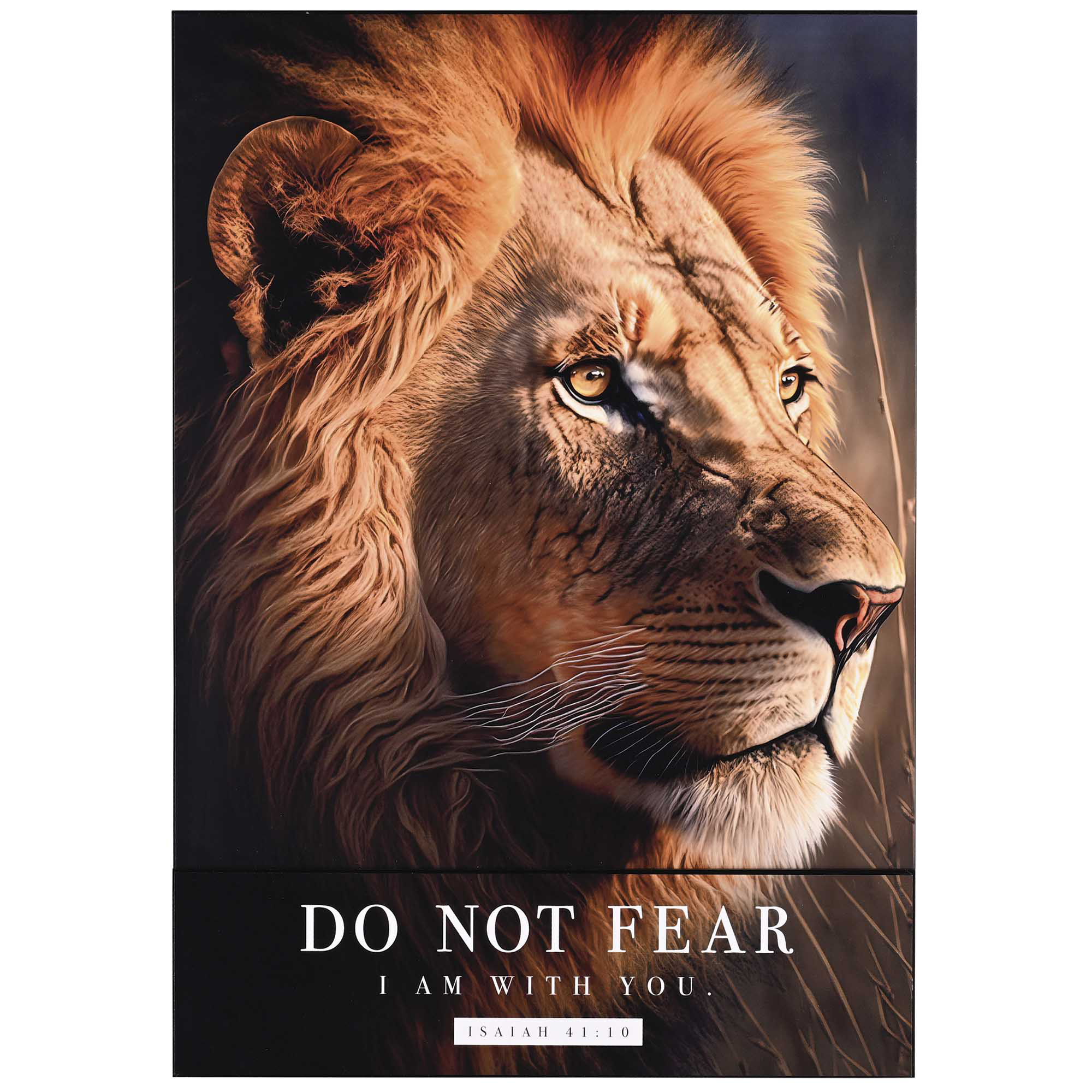 Trinx Stacked Wall Plaque Do Not Fear I Am - Wayfair Canada
