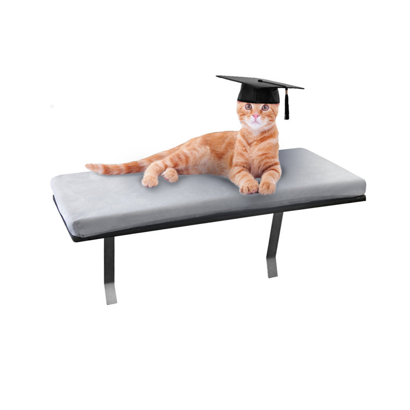 Tucker Murphy Pet™ Becerra Rectangle Cat Perch & Reviews | Wayfair