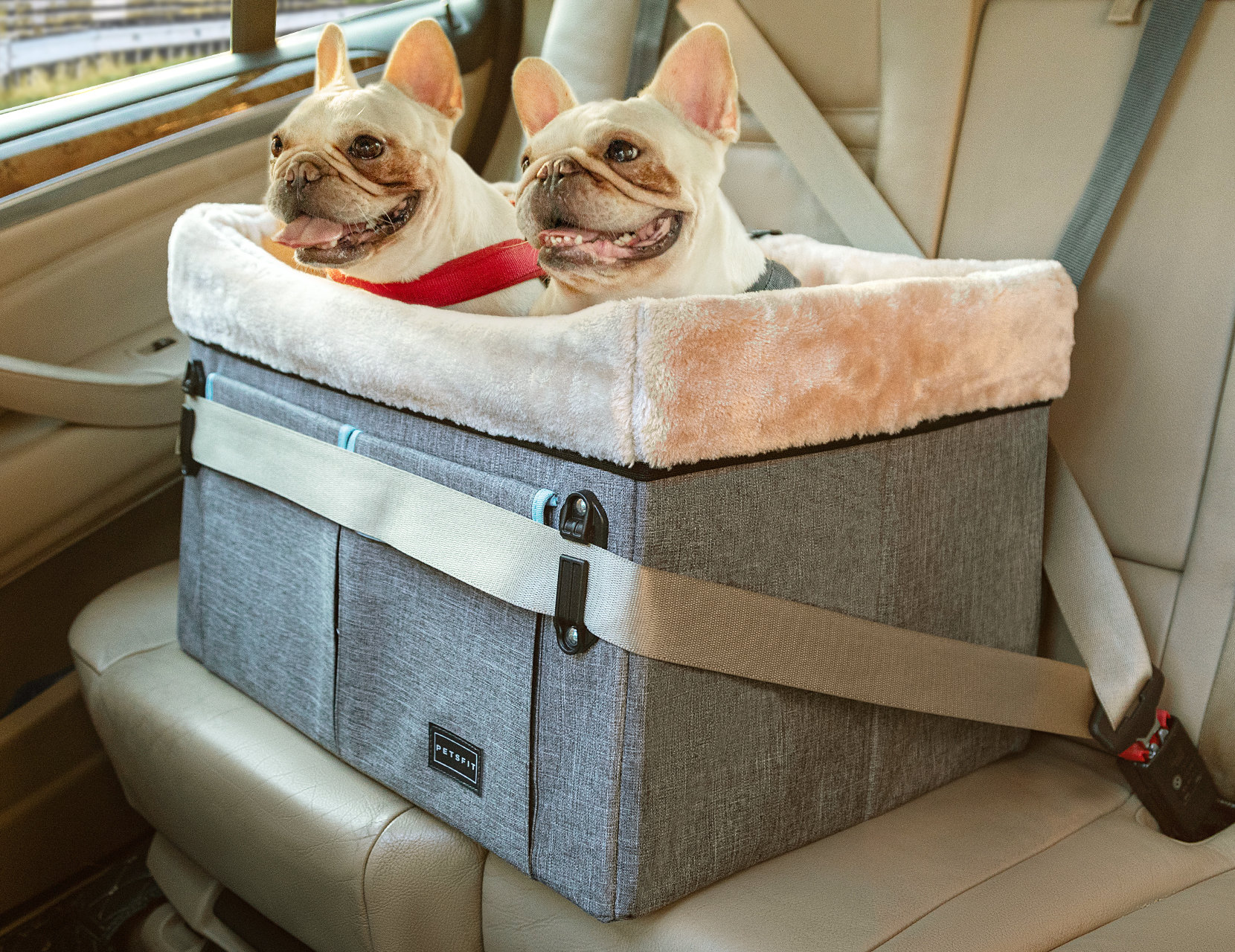 Tucker Murphy Pet™ Dog Booster Seat for Medium Dogs, Light Grey | Wayfair
