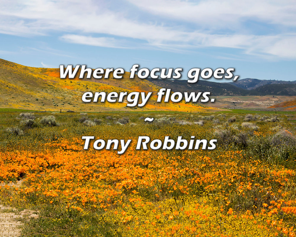 ATX Art Group LLC Tony Robbins Quote: Where focus goes, energy flows ...