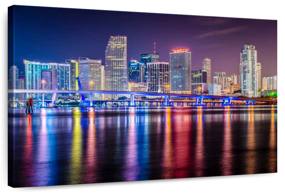 Elephant Stock Miami Colors At Night | Wayfair