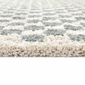 AllModern Walker Checkered Sage/Cream Shag Area Rug & Reviews | Wayfair