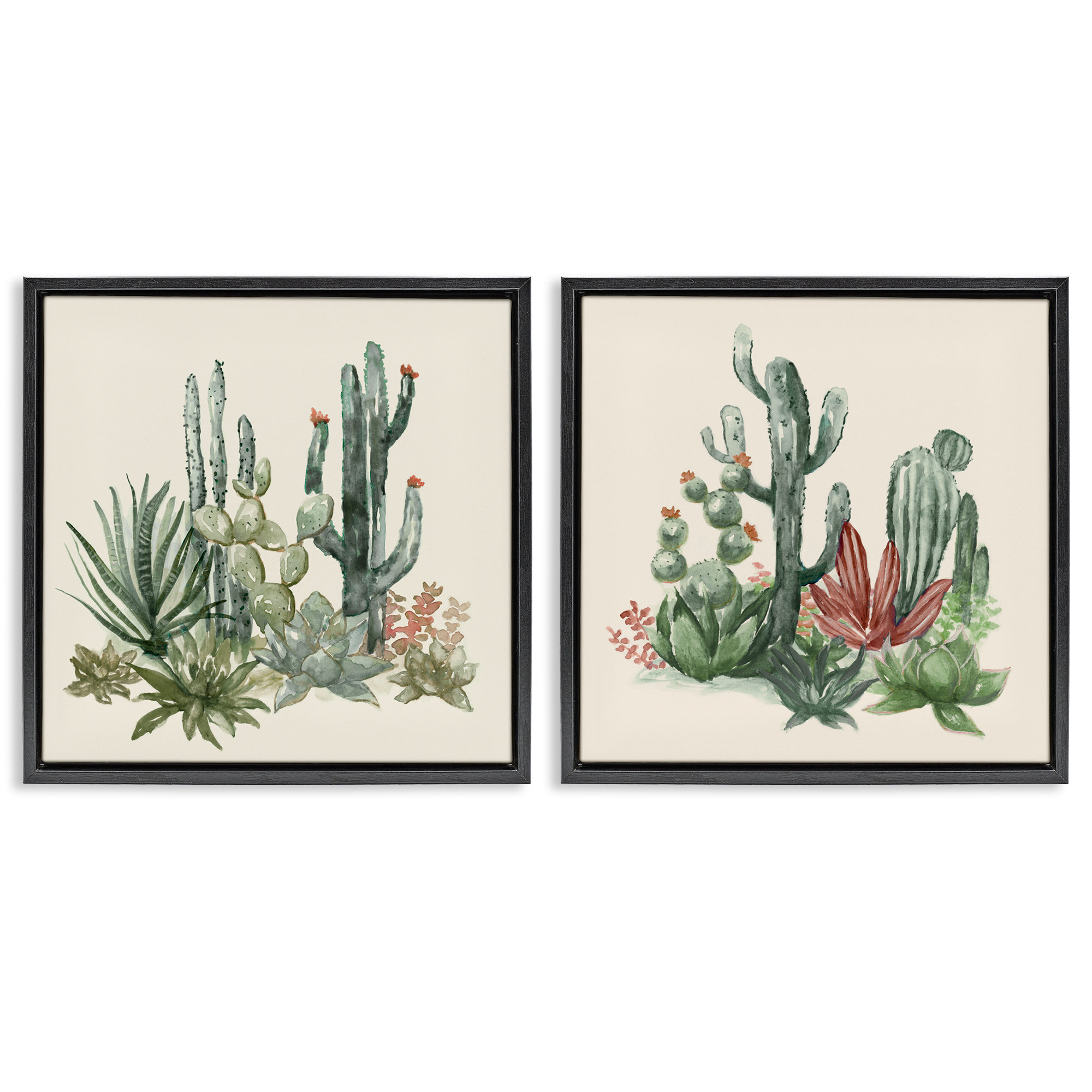 Loon Peak Mojave Desert Cacti 2pc Floating Frame Set, design by Nan ...