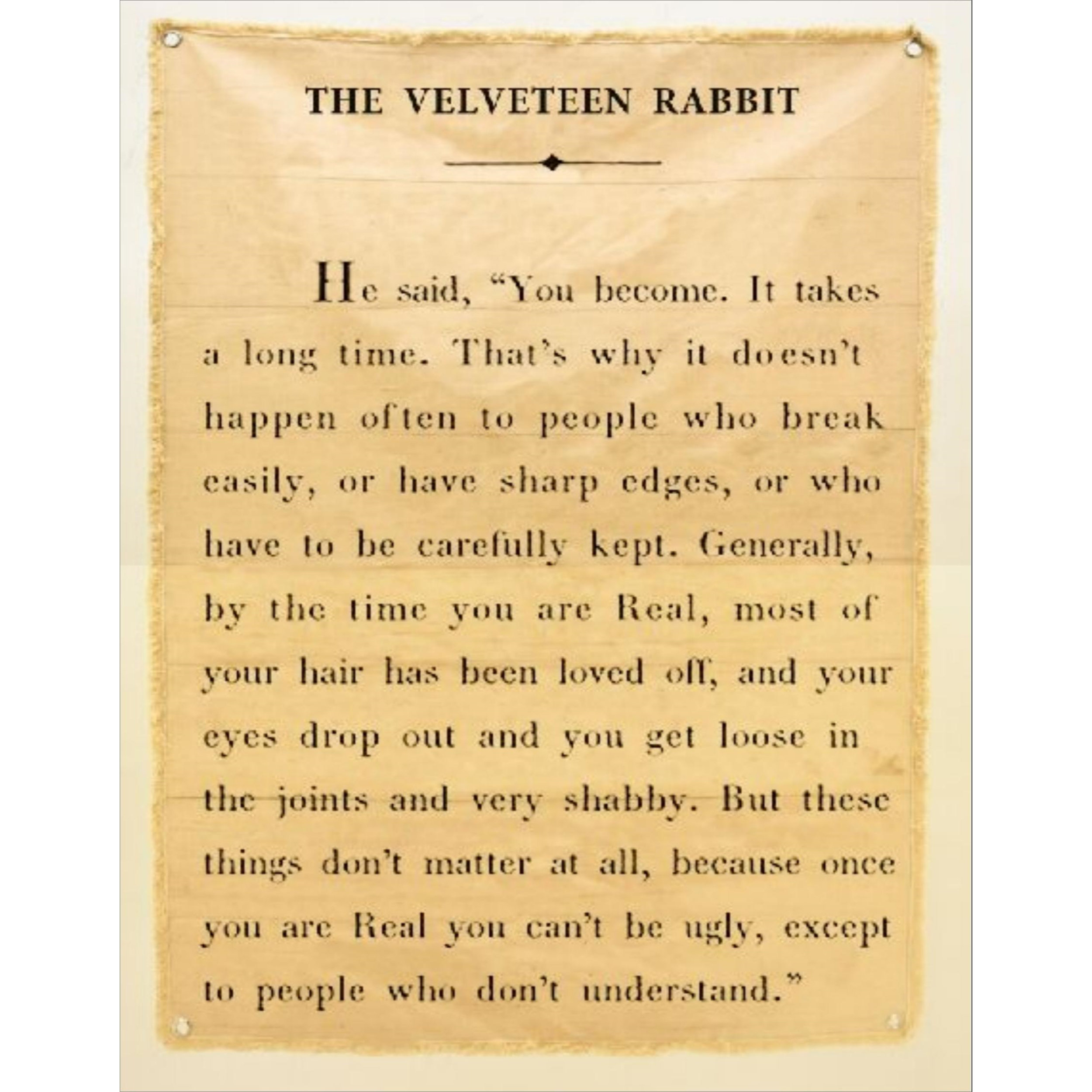 Trinx VIP Fabric 51 in. Yellow The Velveteen Rabbit Excerpt Sign | Wayfair