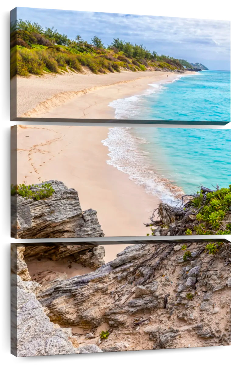 Elephant Stock Bermuda Beach Shore | Wayfair