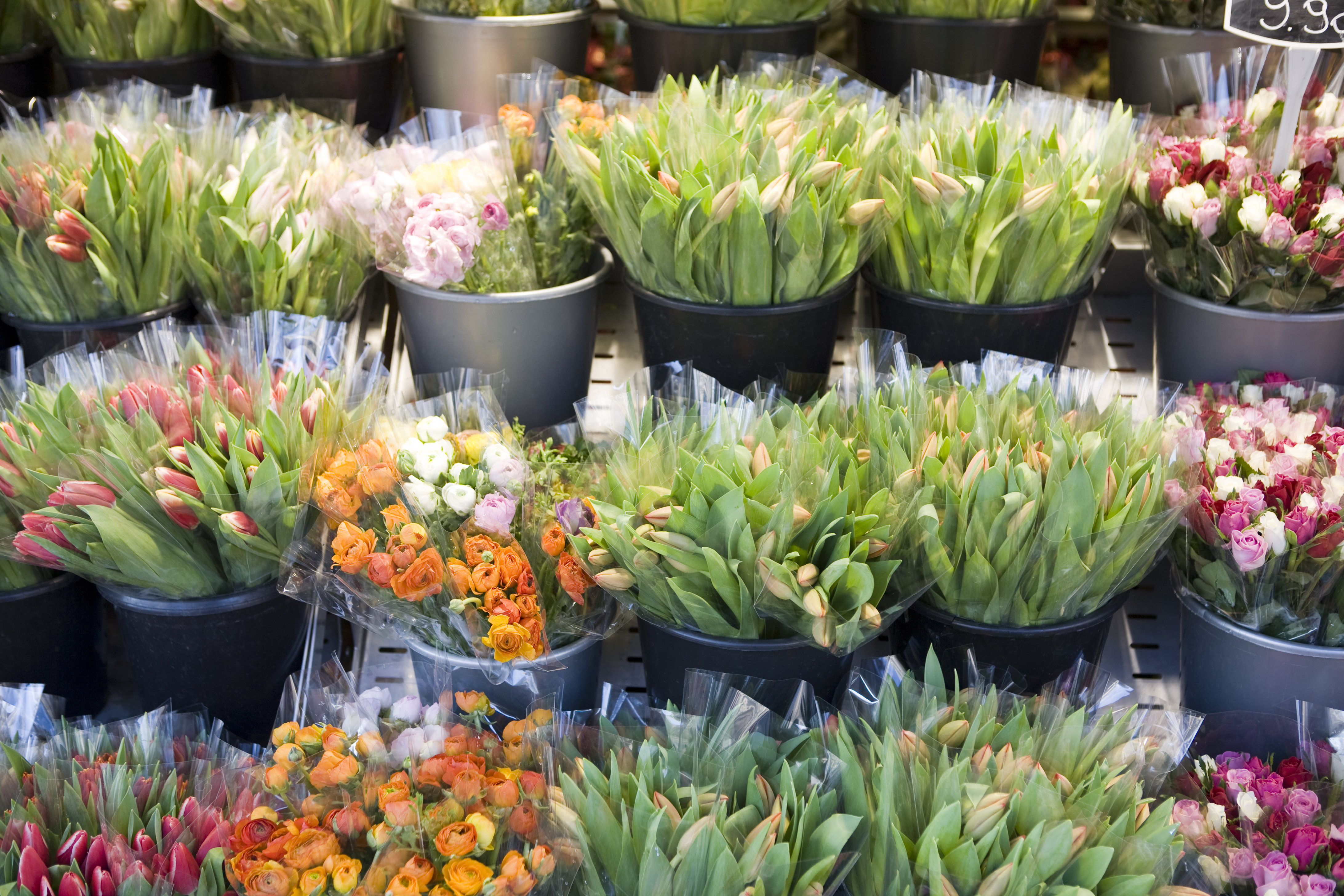 Ebern Designs Marché aux fleurs extérieur de Carterdayne - Wayfair Canada