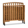 daVinci Dylan 3-in-1 Mini Convertible Portable Crib & Reviews | Wayfair