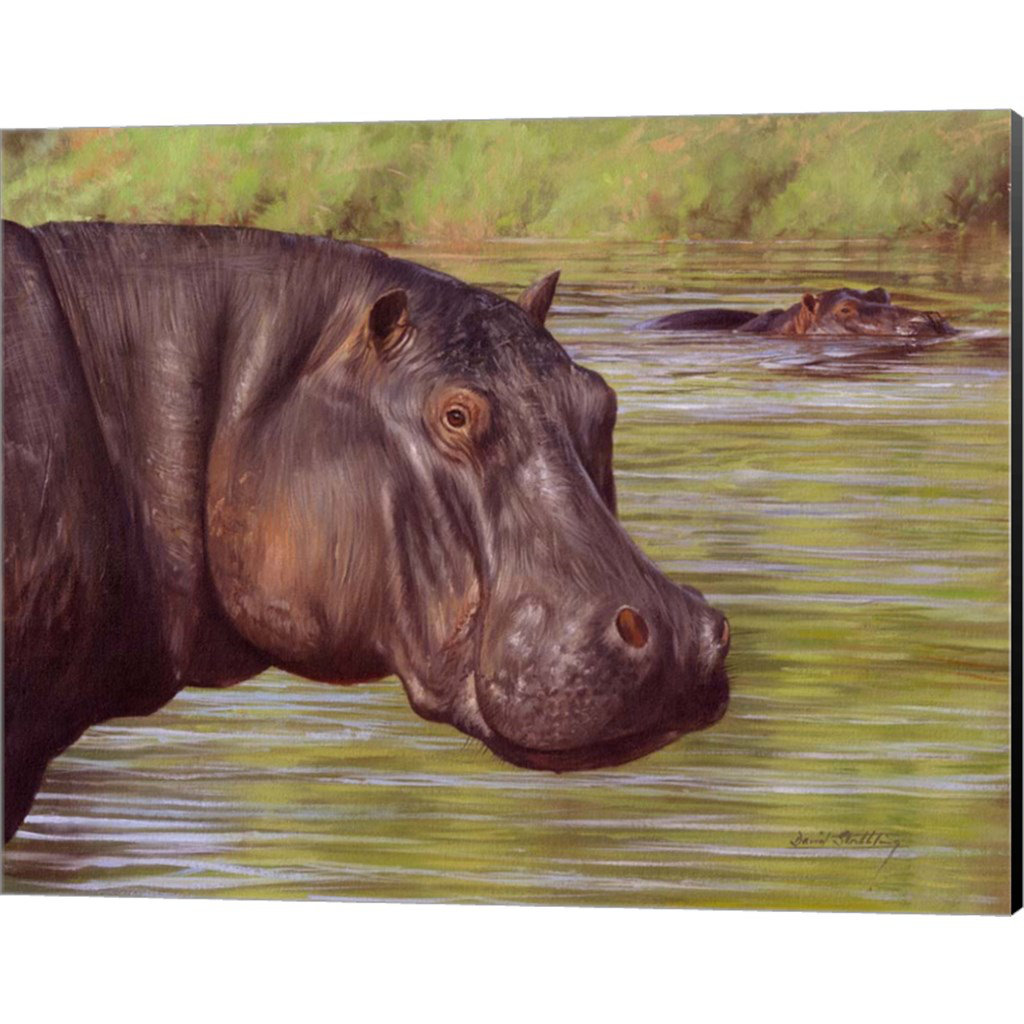 Bungalow Rose Hippo by David Stribbling - Wrapped Canvas Graphic Art ...