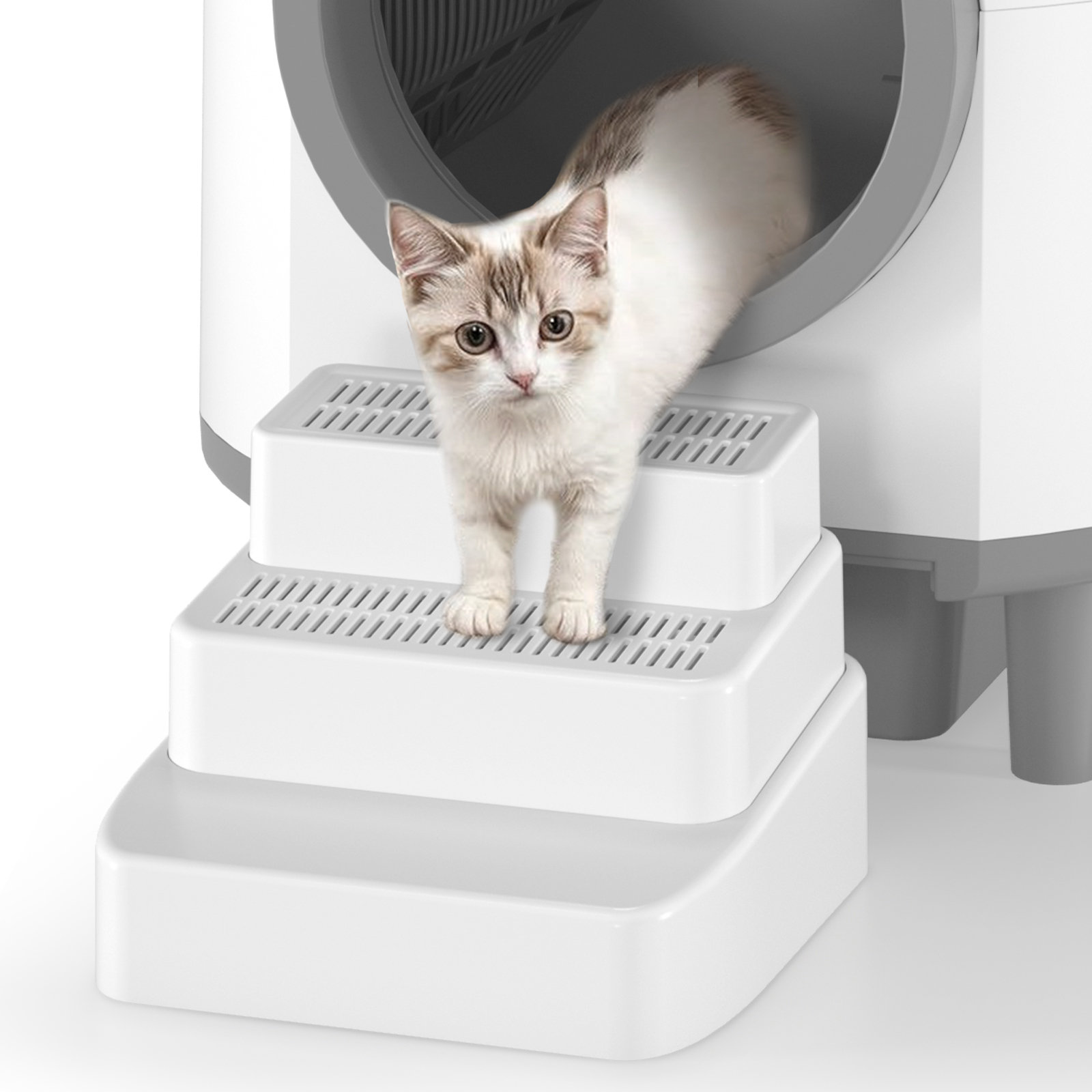 Tucker Murphy Pet™ Automatic Smart Cat Litter Box - Wayfair Canada