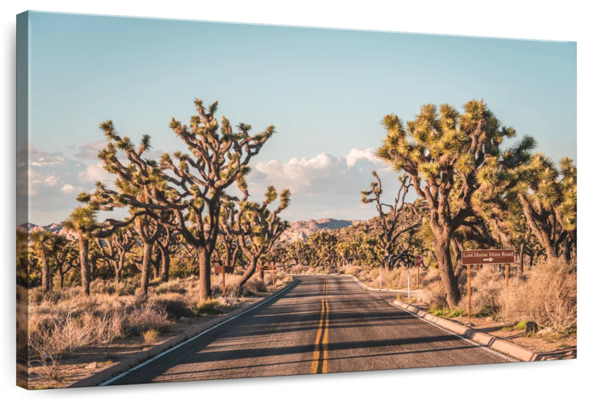 Ebern Designs Mehar Cactus Road - Wayfair Canada