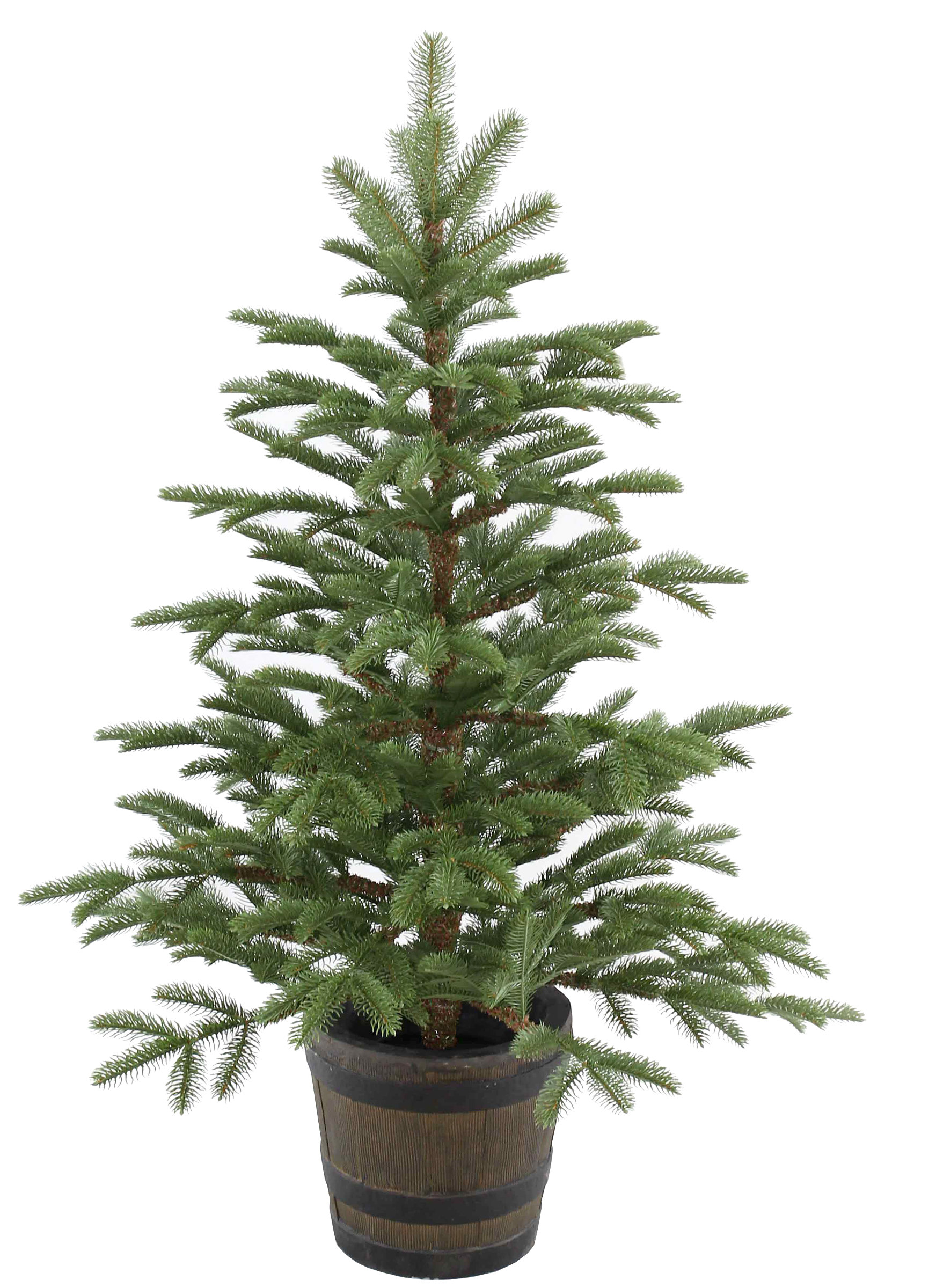 The Holiday Aisle® 4 ft. Norwegian Spruce Entrance Tree & Reviews | Wayfair