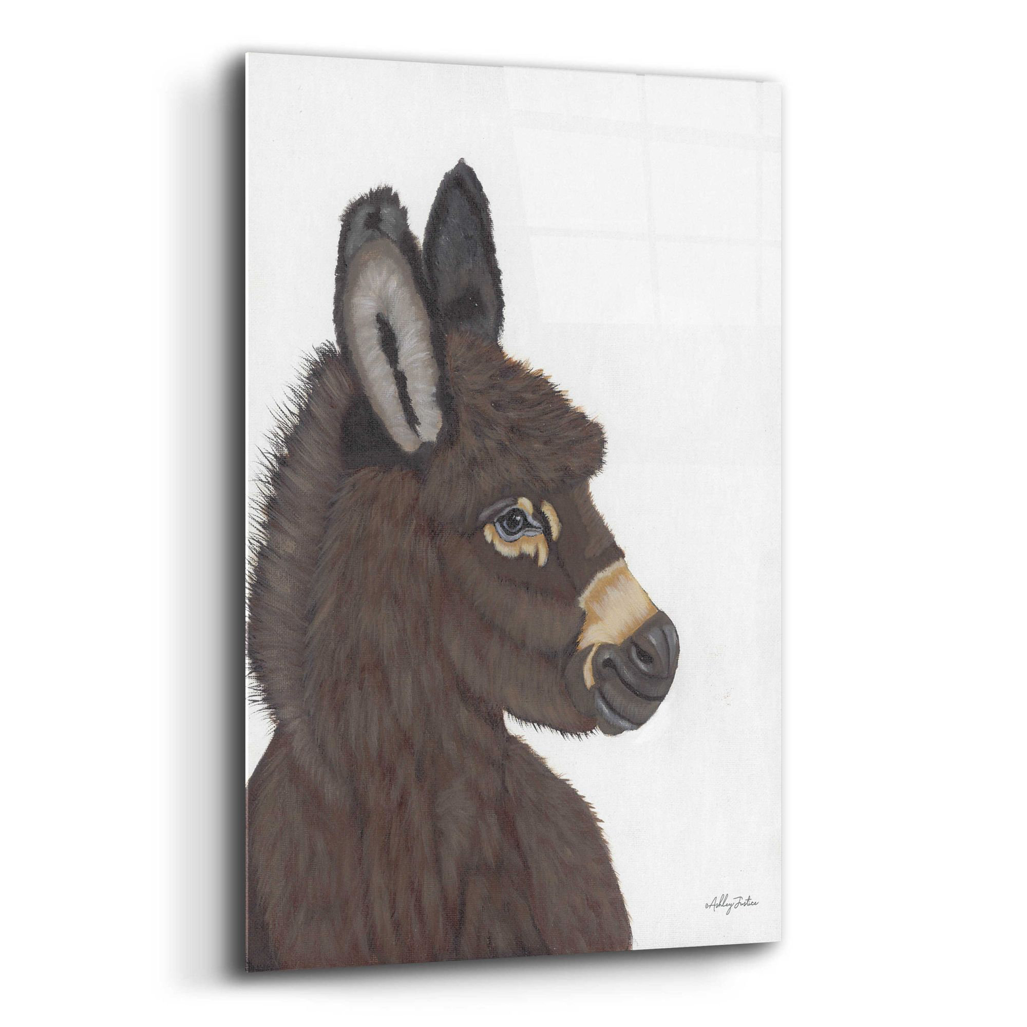 Millwood Pines 'Archie' By Ashley Justice, Acrylic Glass Wall Art | Wayfair