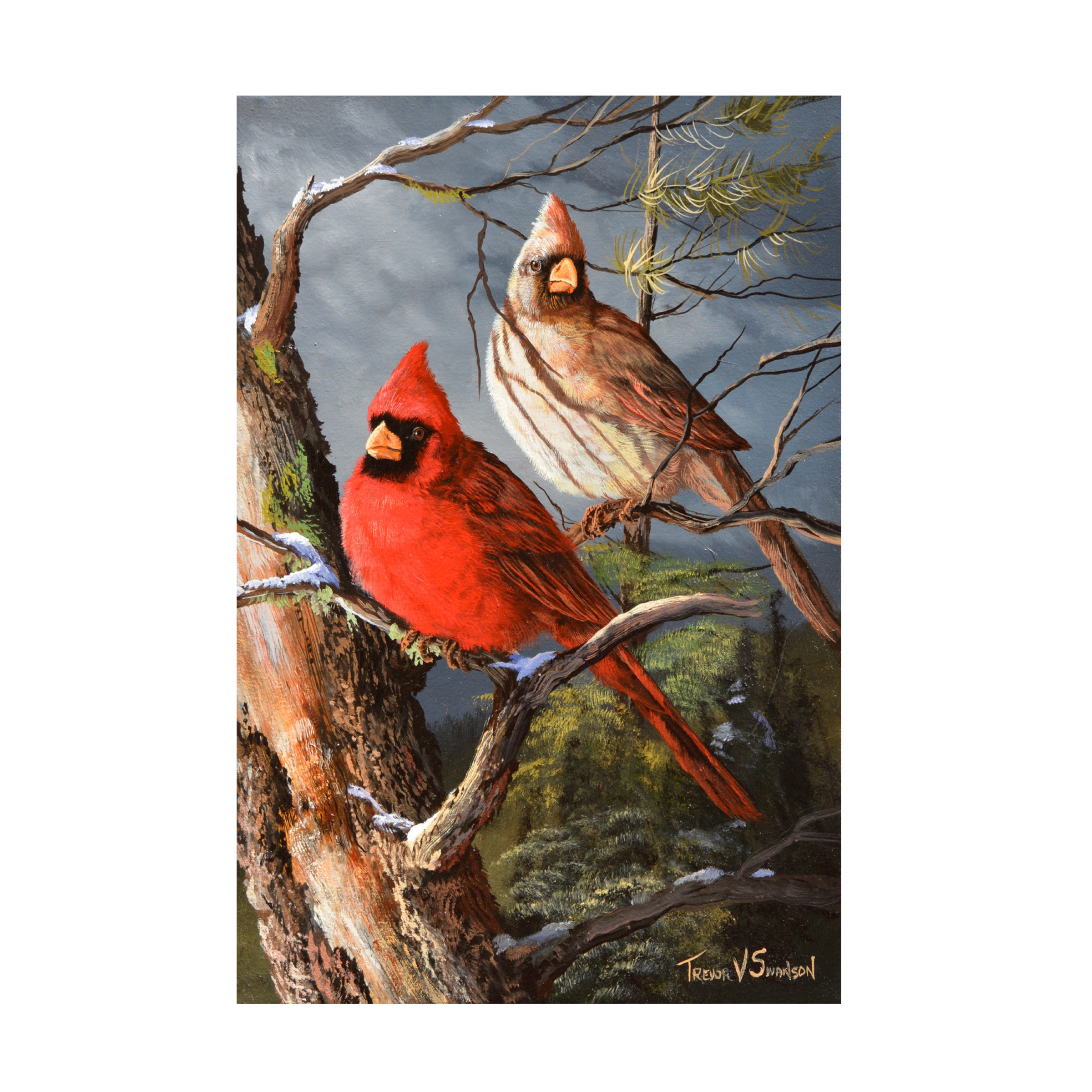 Winston Porter Winters Perch 2 by Trevor V. Swanson Canvas Art | Wayfair