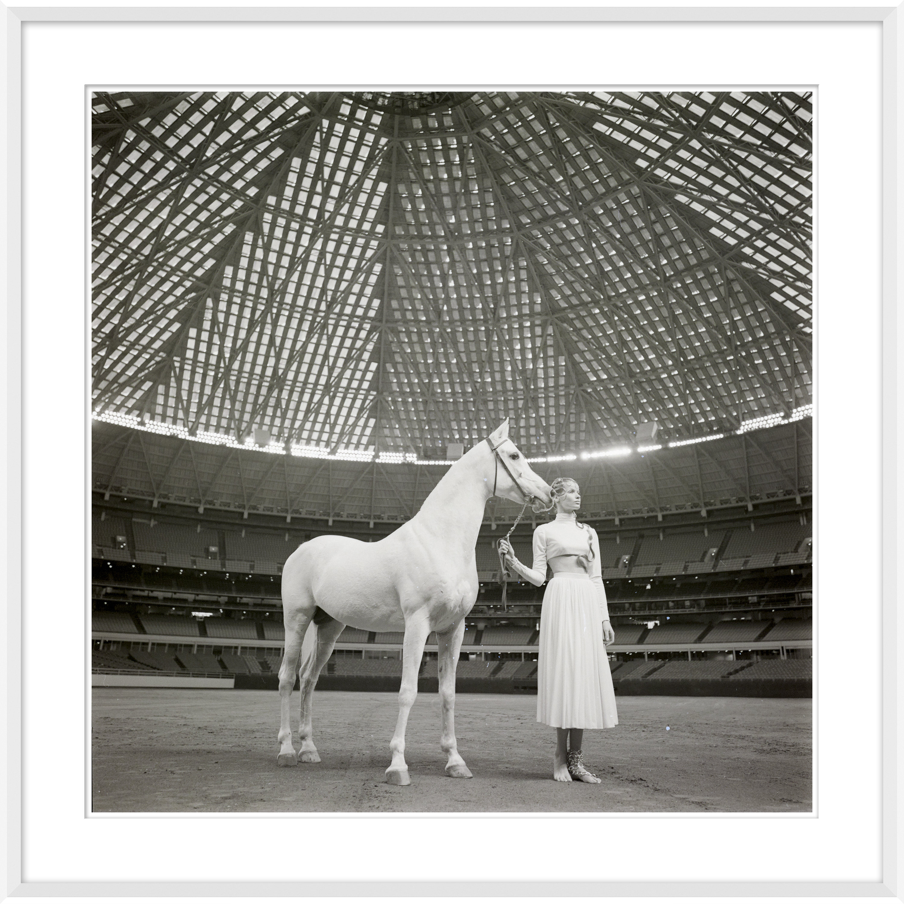 Soicher Marin Sante Forlano Veruschka with Morafic Arabian Horse by ...