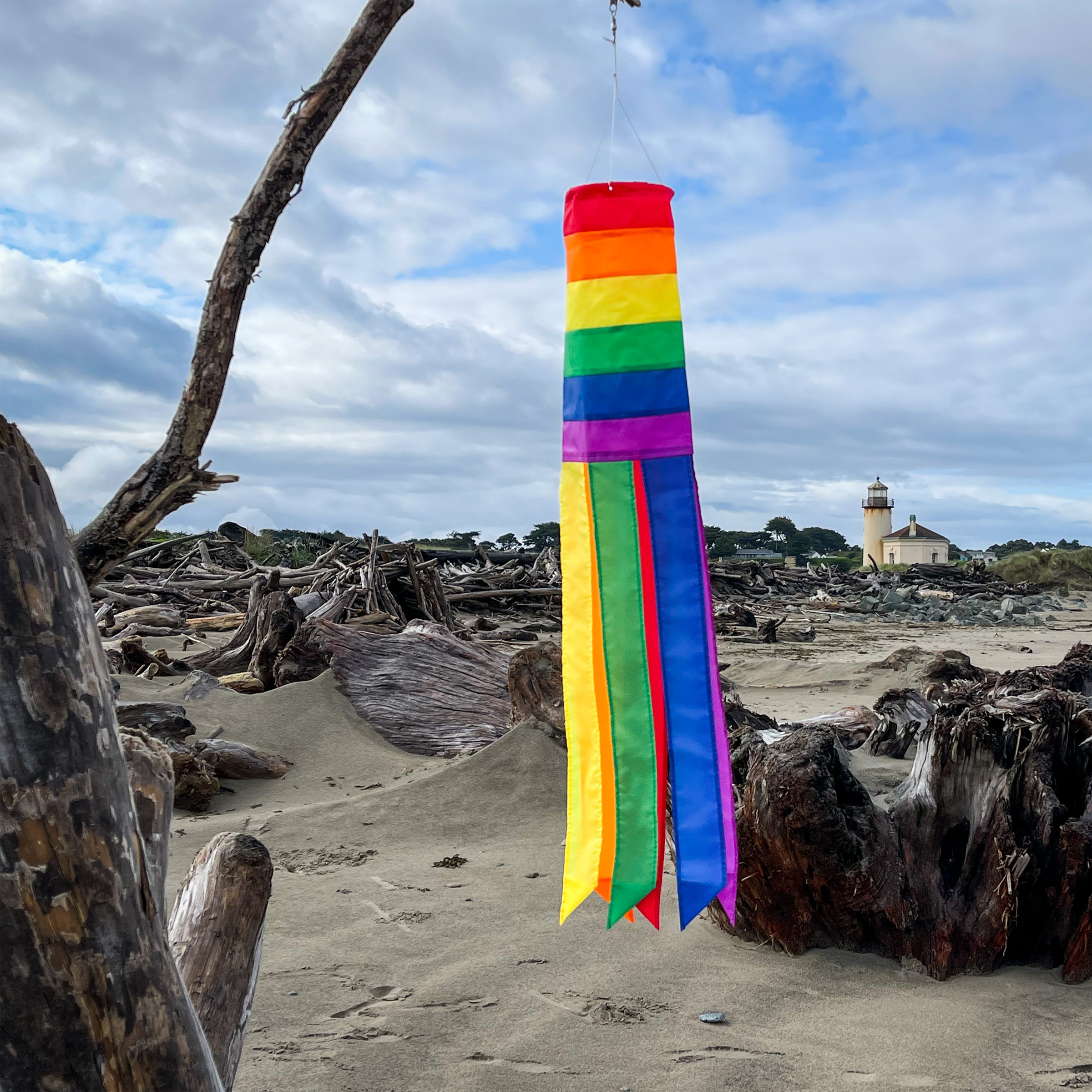 Arlmont & Co. Rainbow Column Windsock | Wayfair