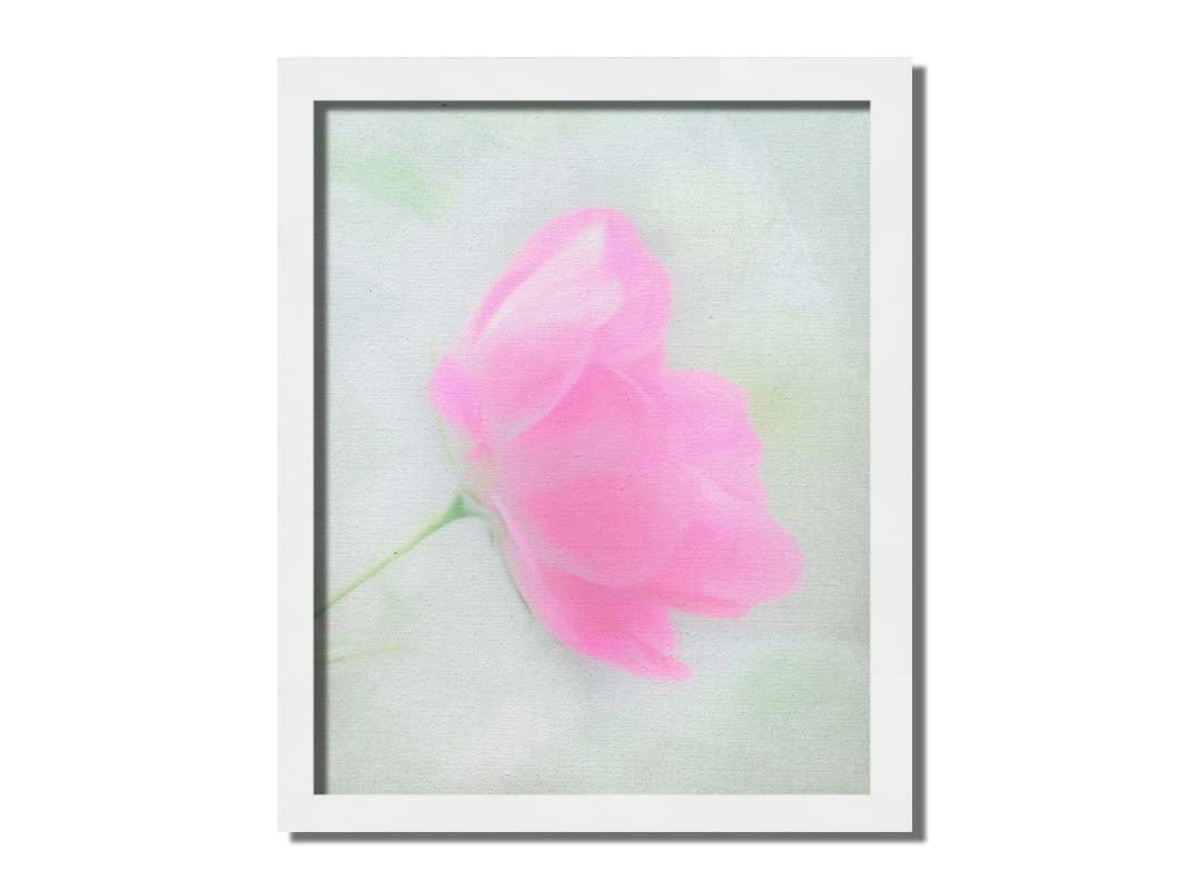 Hokku Designs Wild Pink Poppy by Hal Halli. Paper Print - Mounted ...