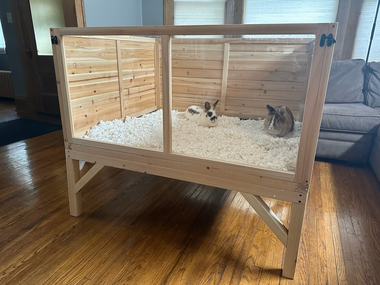 Zylina Raised Guinea Pig & Rabbit House & Reviews | Wayfair
