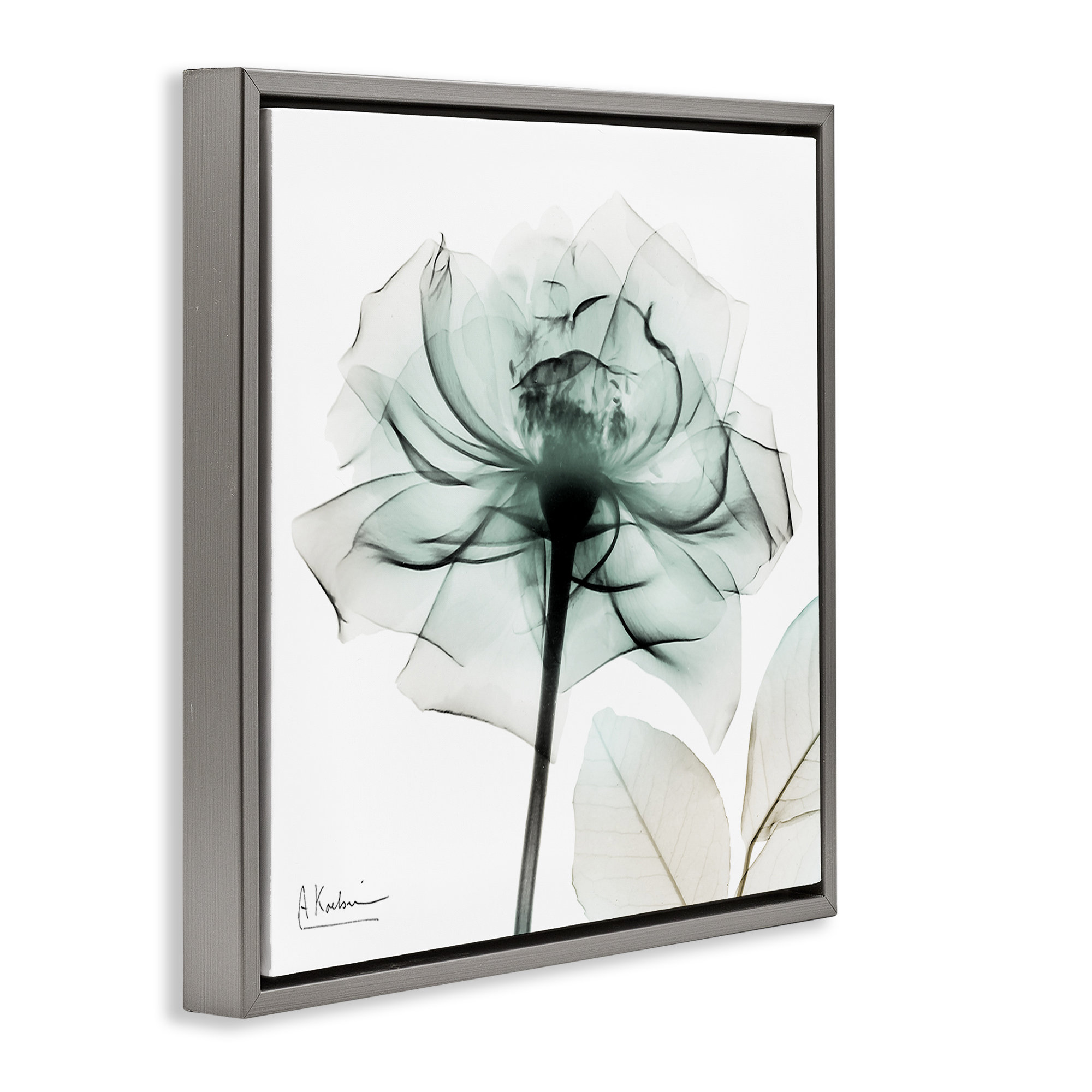 Latitude Run® Transparent Flower Blossom Floating Frame, design by ...