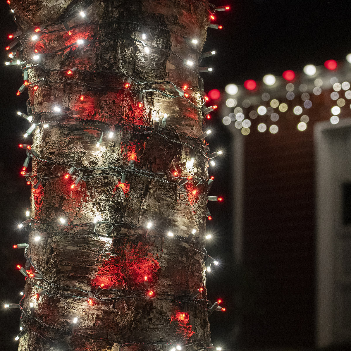 The Holiday Aisle® 70 Light Christmas LED String Lights & Reviews | Wayfair