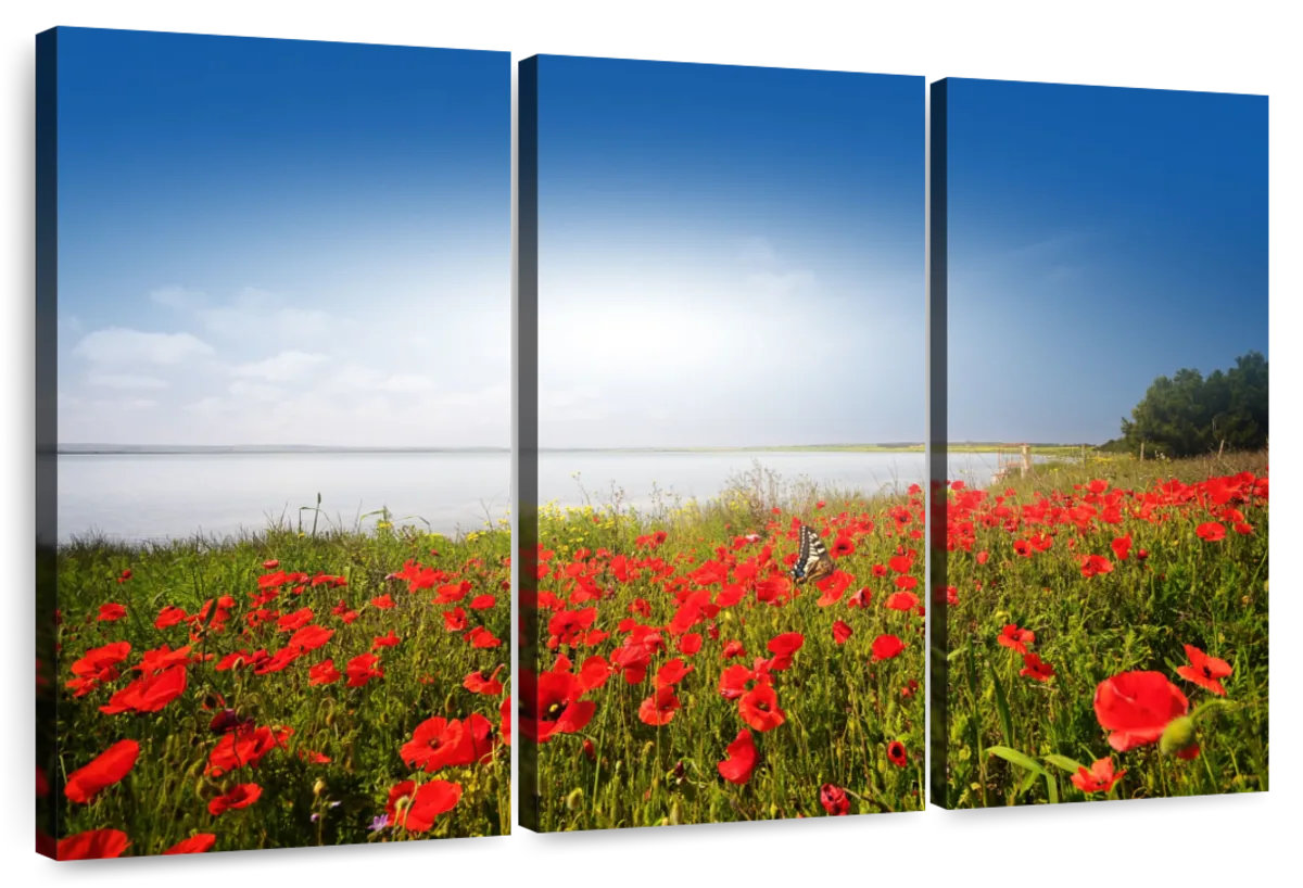 Millwood Pines Alvord Lakeside Poppy Field | Wayfair