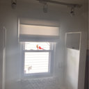 Darby Home Co Room Darkening Roman Shade & Reviews | Wayfair