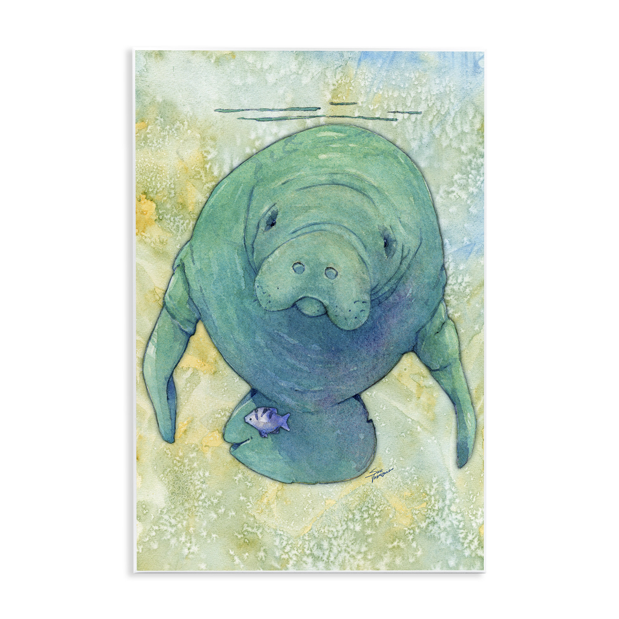 Stupell Industries Green Manatee Underwater by Steve Vanderbosch ...