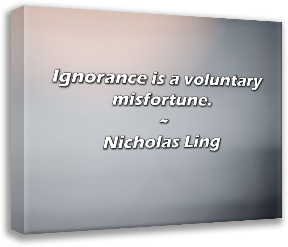 Latitude Run® Artsy Quote "Ignorance is a voluntary misfortune." By ...