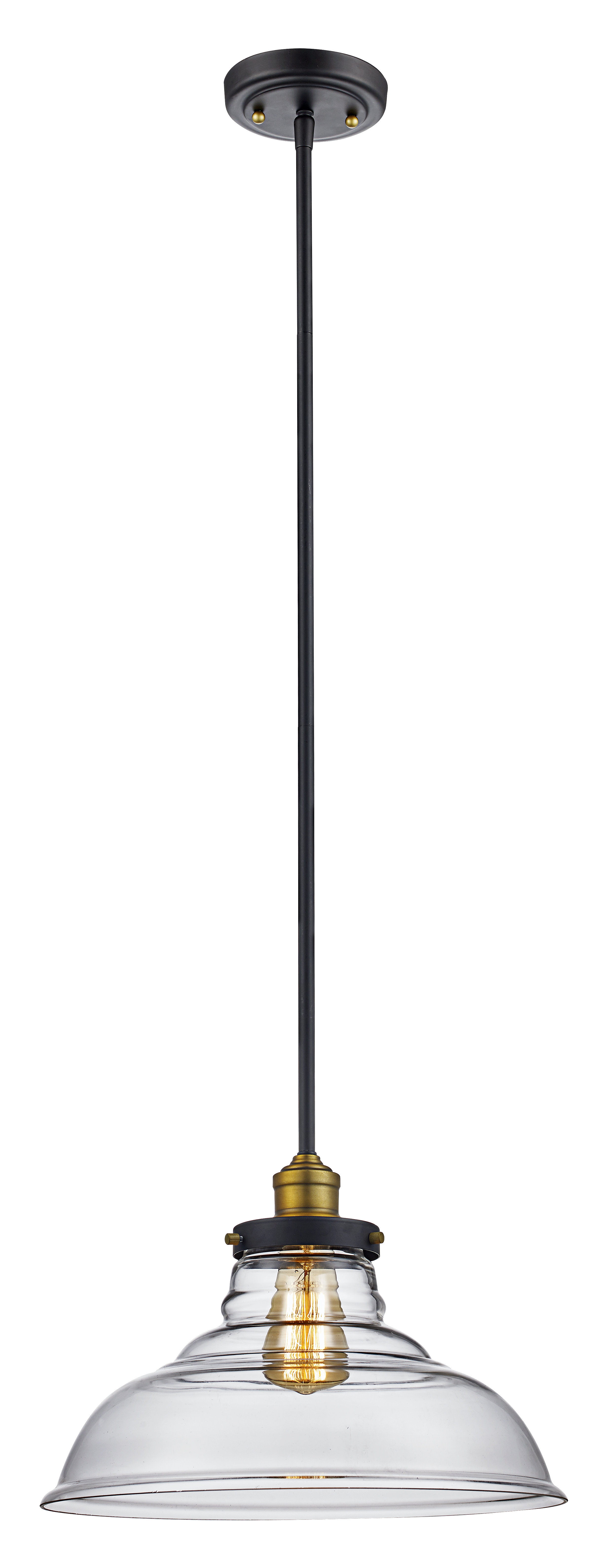 Williston Forge Skyler 1-Light Single Dome Pendant & Reviews | Wayfair