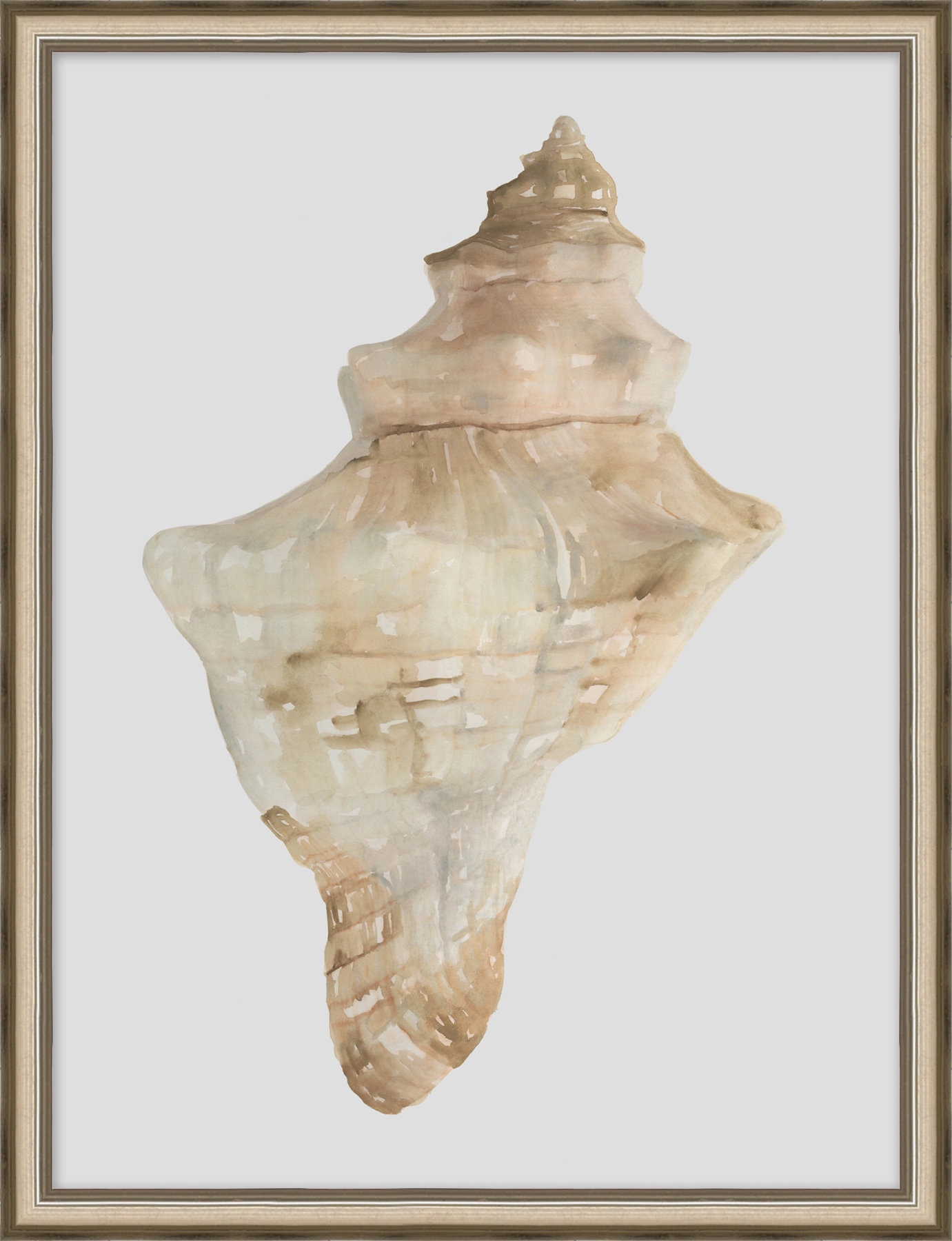 Wendover Art Group Watercolor Sea Shells " Watercolor Sea Shells 4 ...