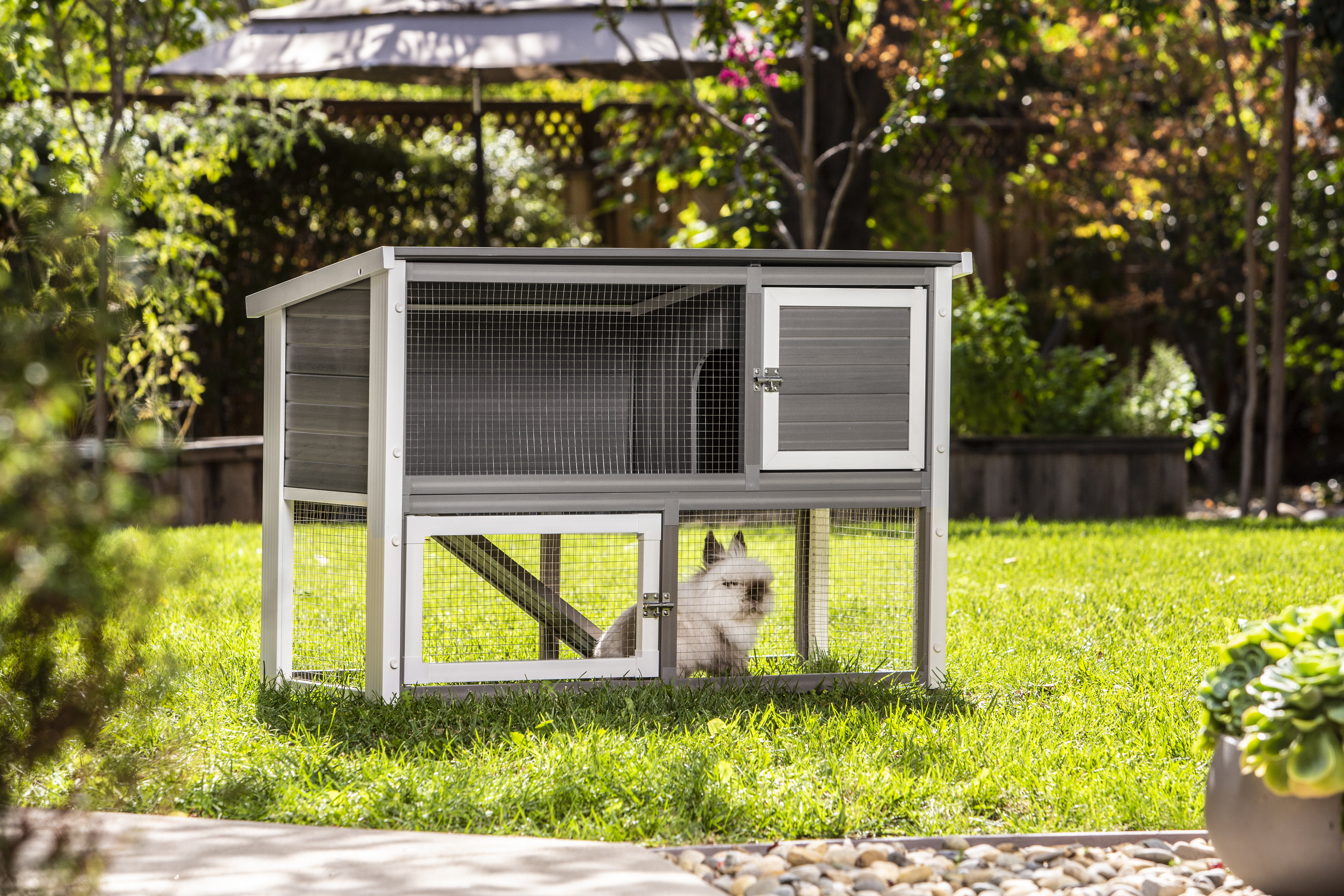 Archie & Oscar™ Adela ECOFLEX® Weather Resistant Rabbit Hutch with Ramp ...