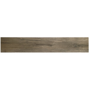 SAMPLE - Baiji Porcelain Wood Look Tile | Birch Lane