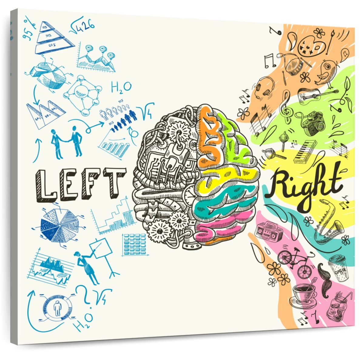 Ebern Designs Alcaraz Brain Hemispheres | Wayfair