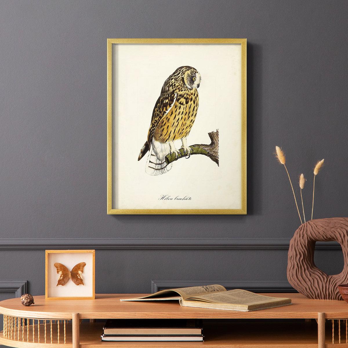 Millwood Pines French Owls II Framed Print - Solid Wood | Wayfair