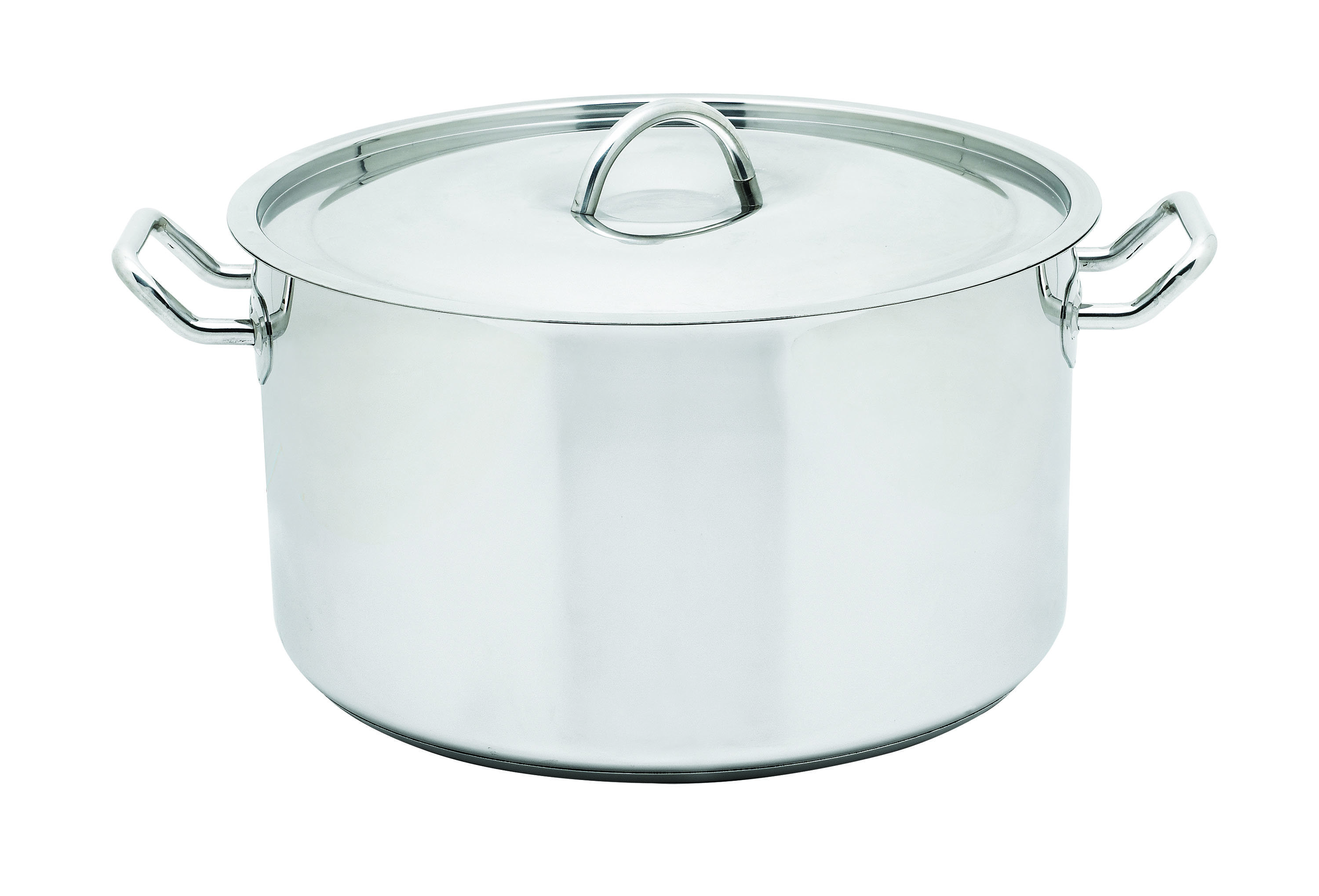 Chef's Secret Precise Heat 42 Quart Stock Pot with Lid | Wayfair