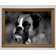 Ebern Designs Boxer Beauty - Single Picture Frame Art Prints | Wayfair ...