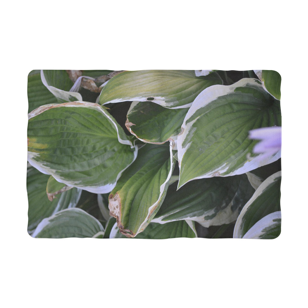 Tucker Murphy Pet™ Greenleaves Sublimation Pet Blanket | Wayfair